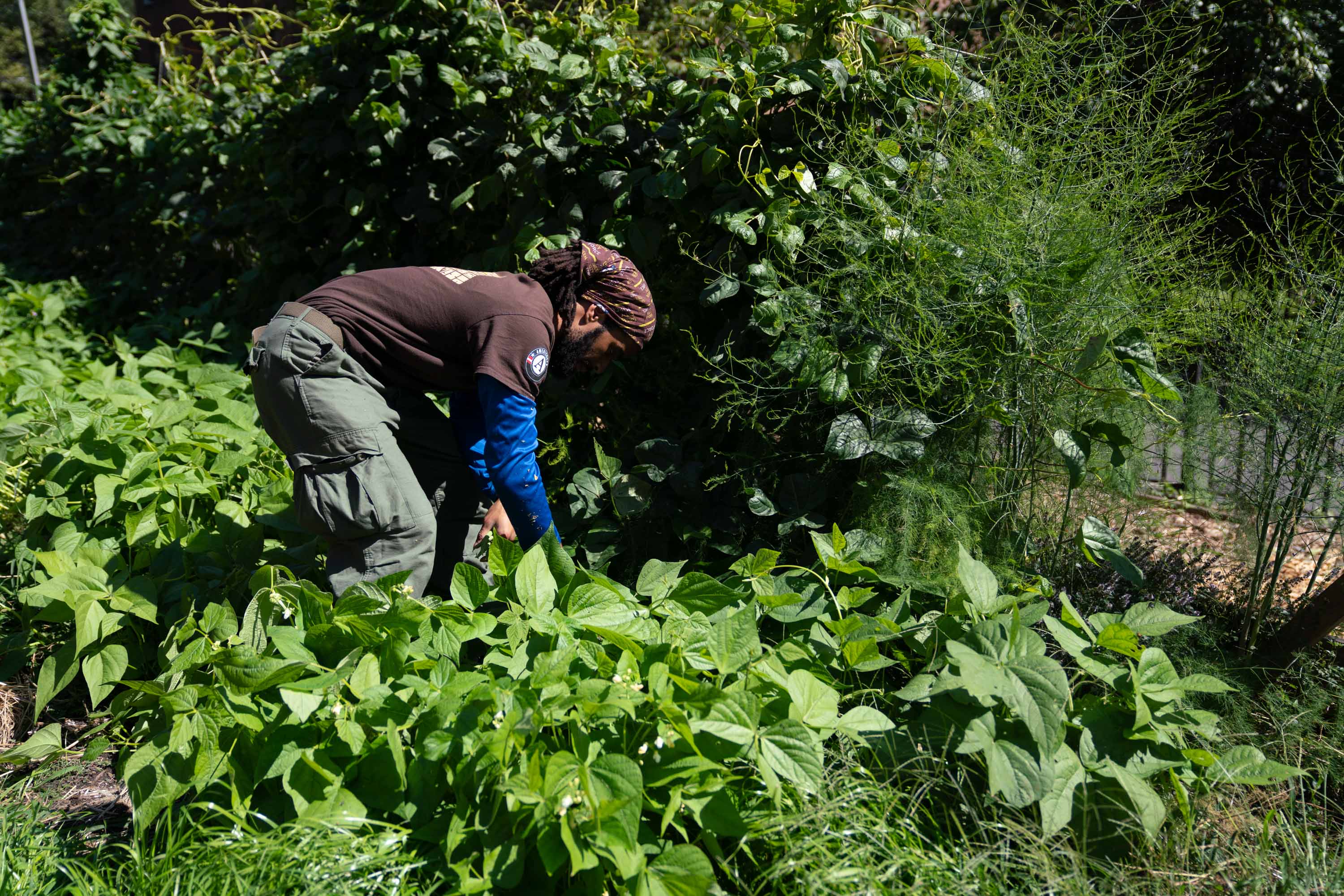 SI Food Justice Ride - silive.com