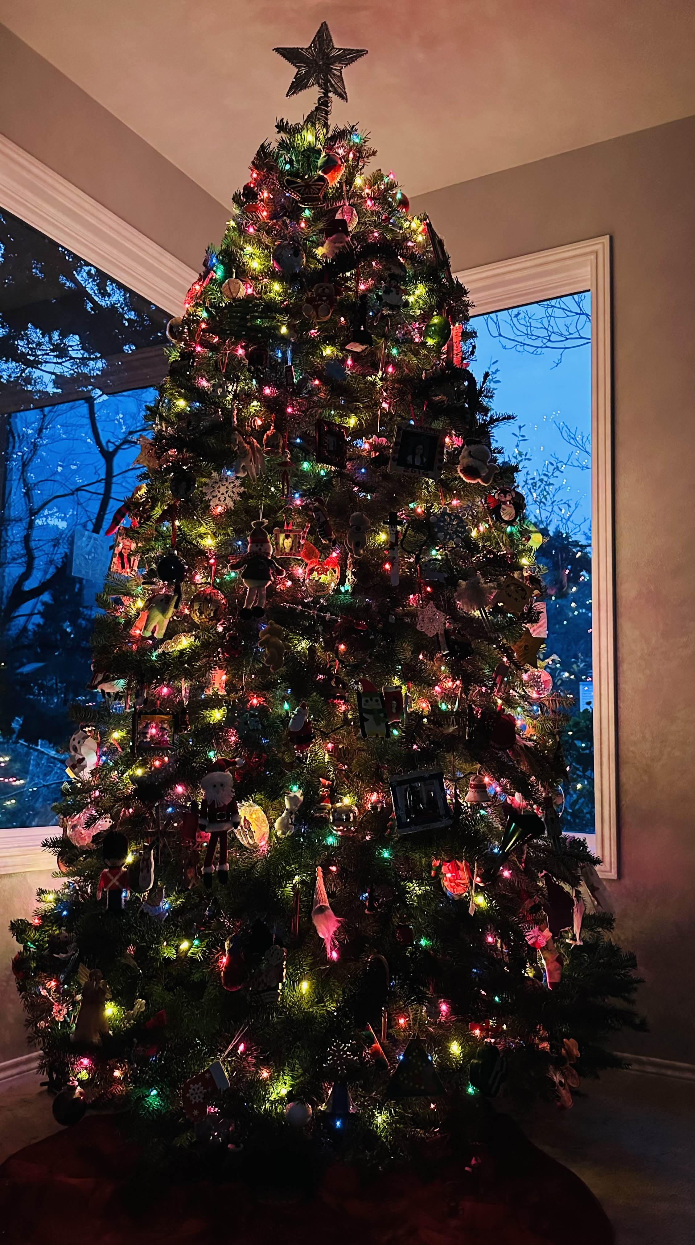 Real Oregon Christmas trees - oregonlive.com
