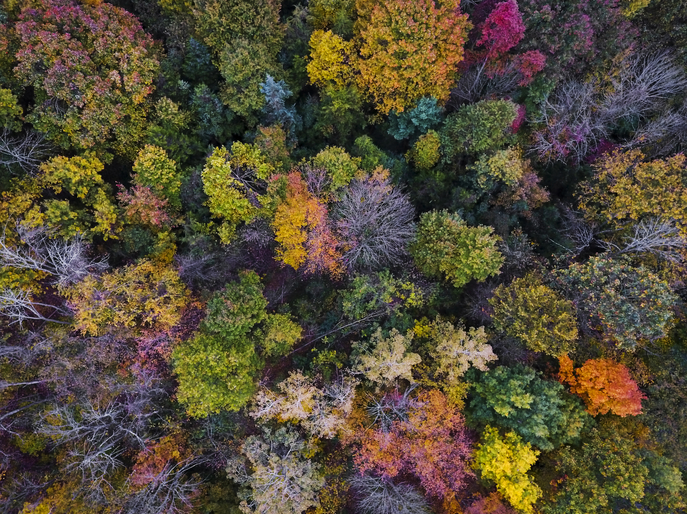 2021 Autumn in the Lehigh Valley - lehighvalleylive.com