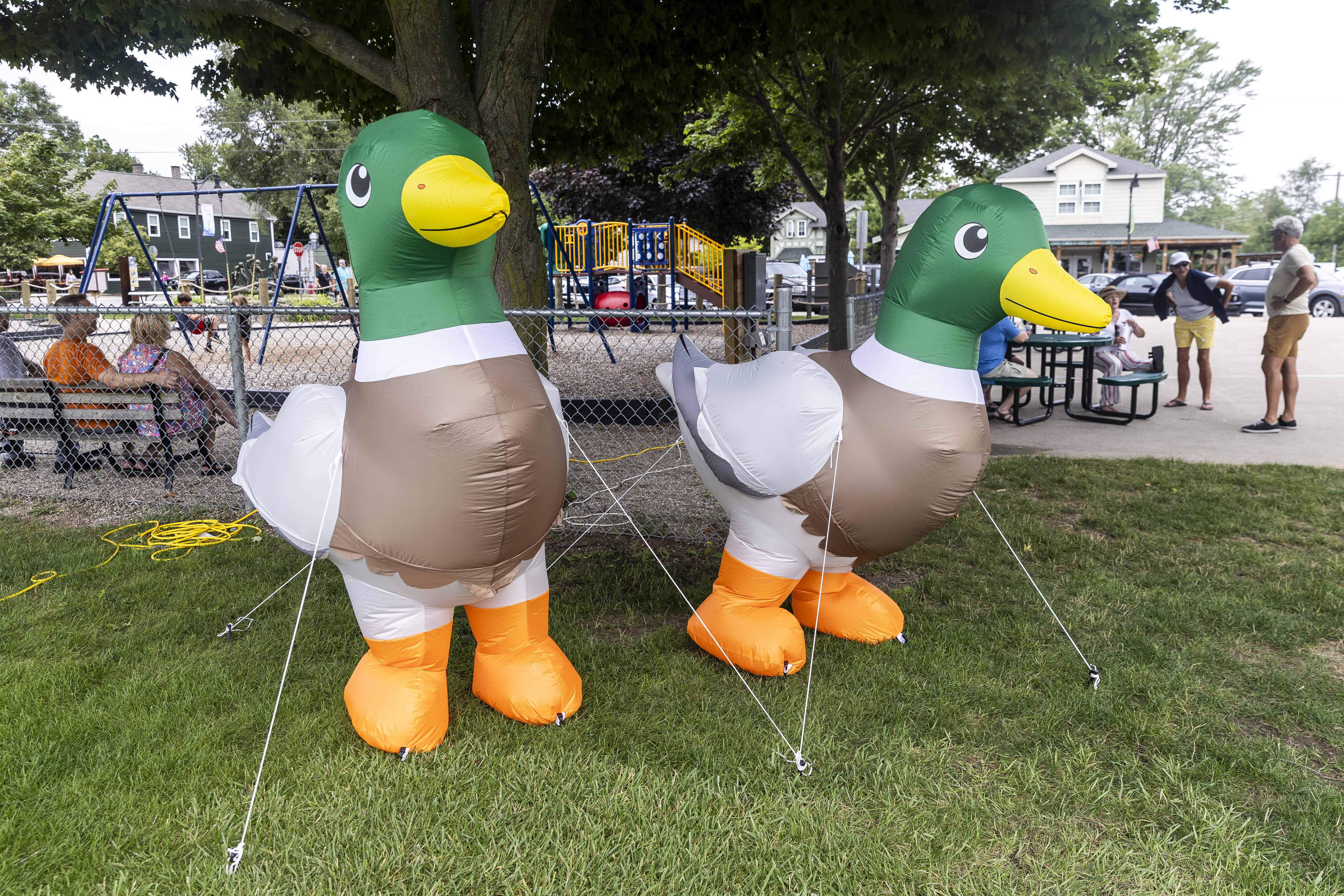 Douglas Duck Dash brings family fun to Saugatuck Venetian Festival ...