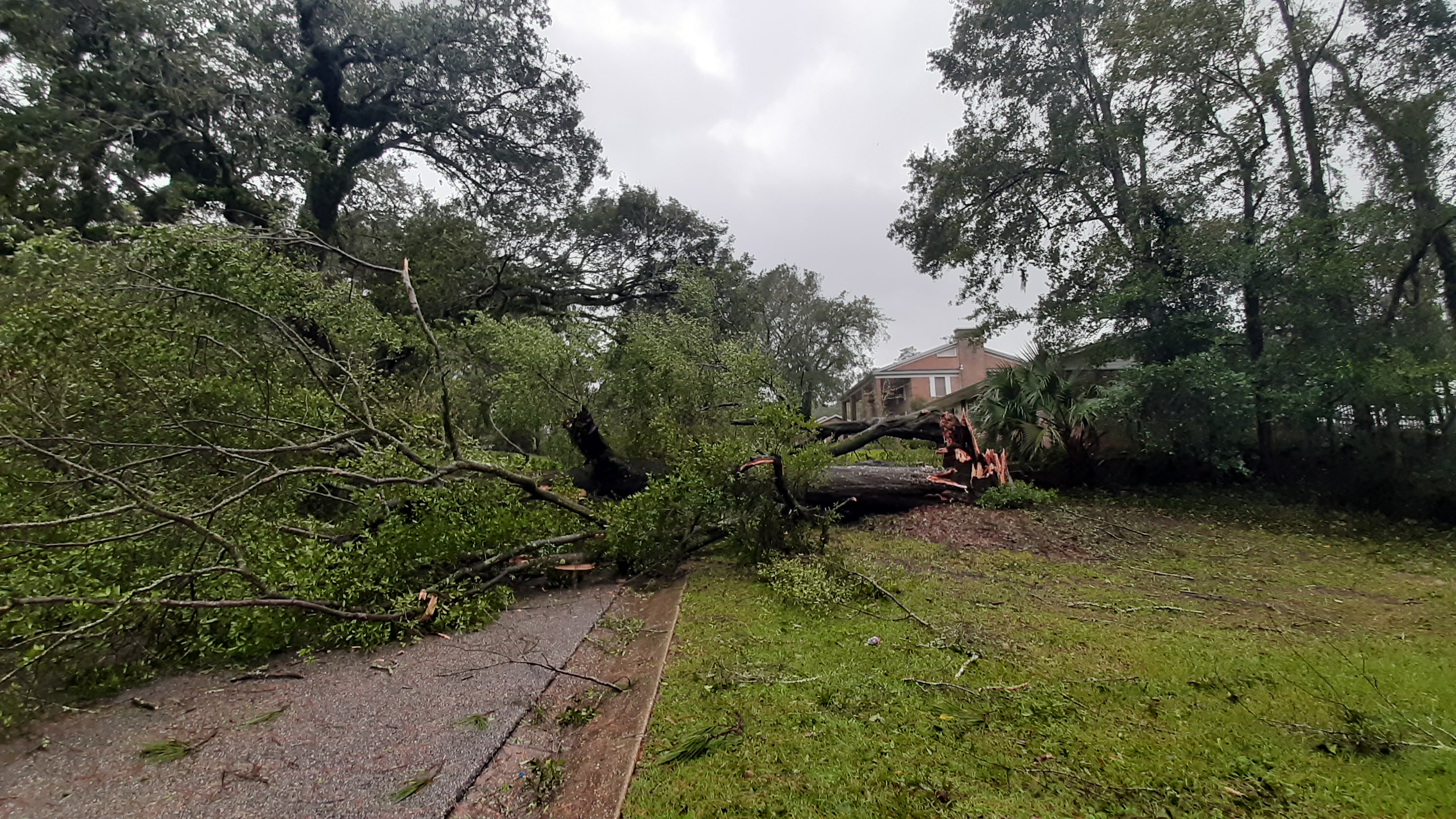 Hurricane Sally damage in coastal Alabama - pennlive.com