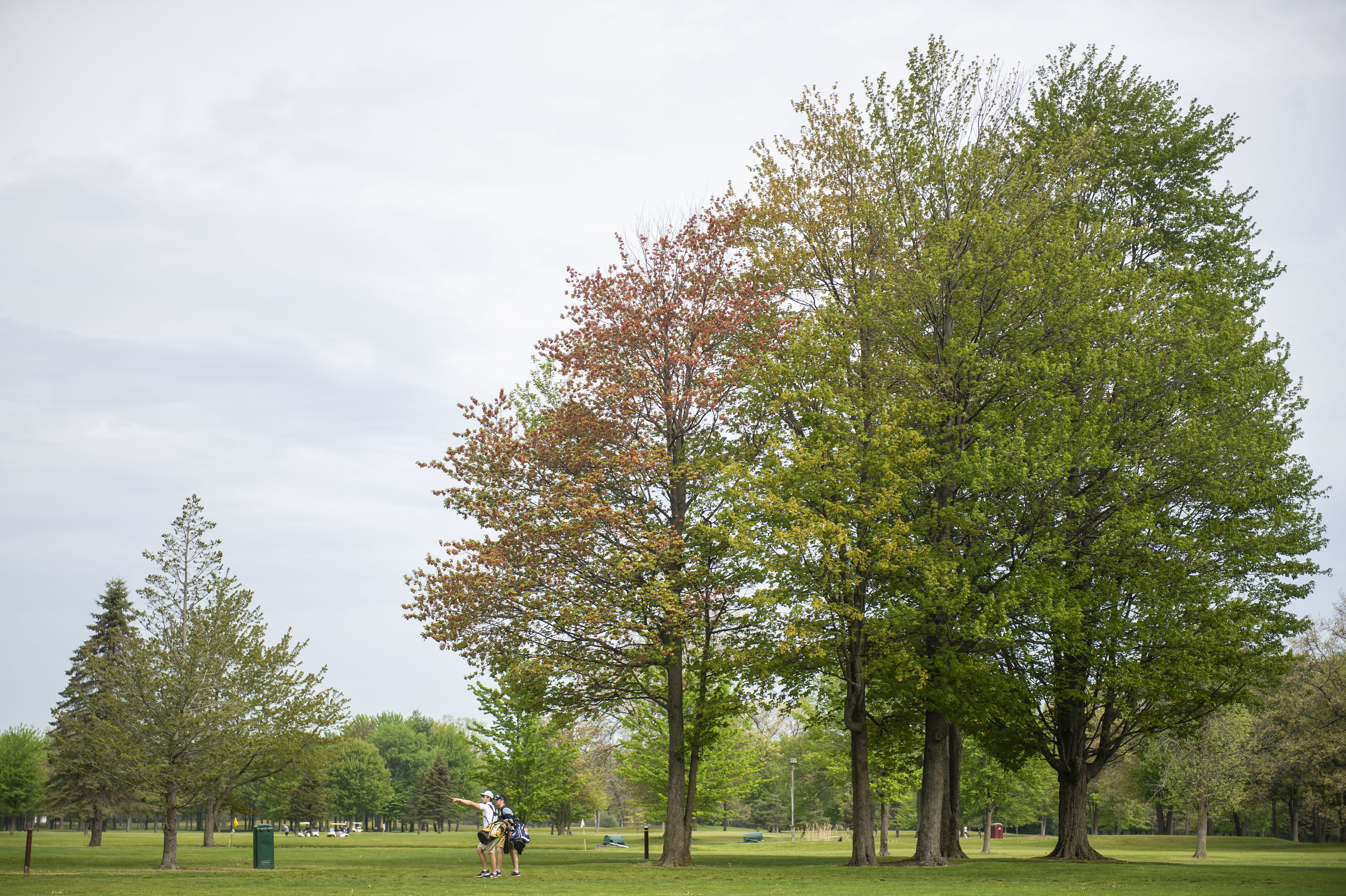 Green Hills Golf Course hosts Bay County Championship - mlive.com
