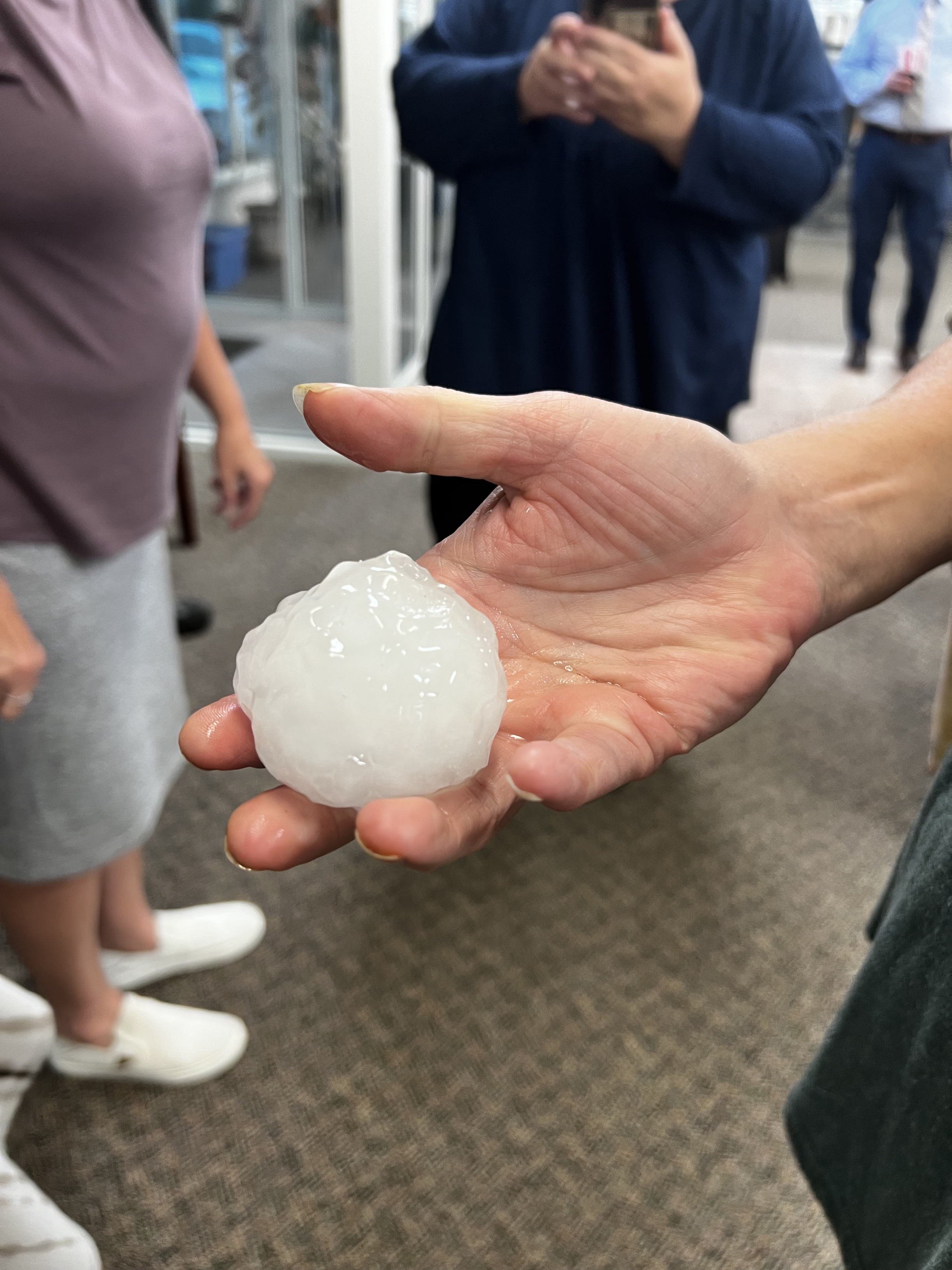 Tennis ball-sized hail blasts Davison in thunderstorm - mlive.com