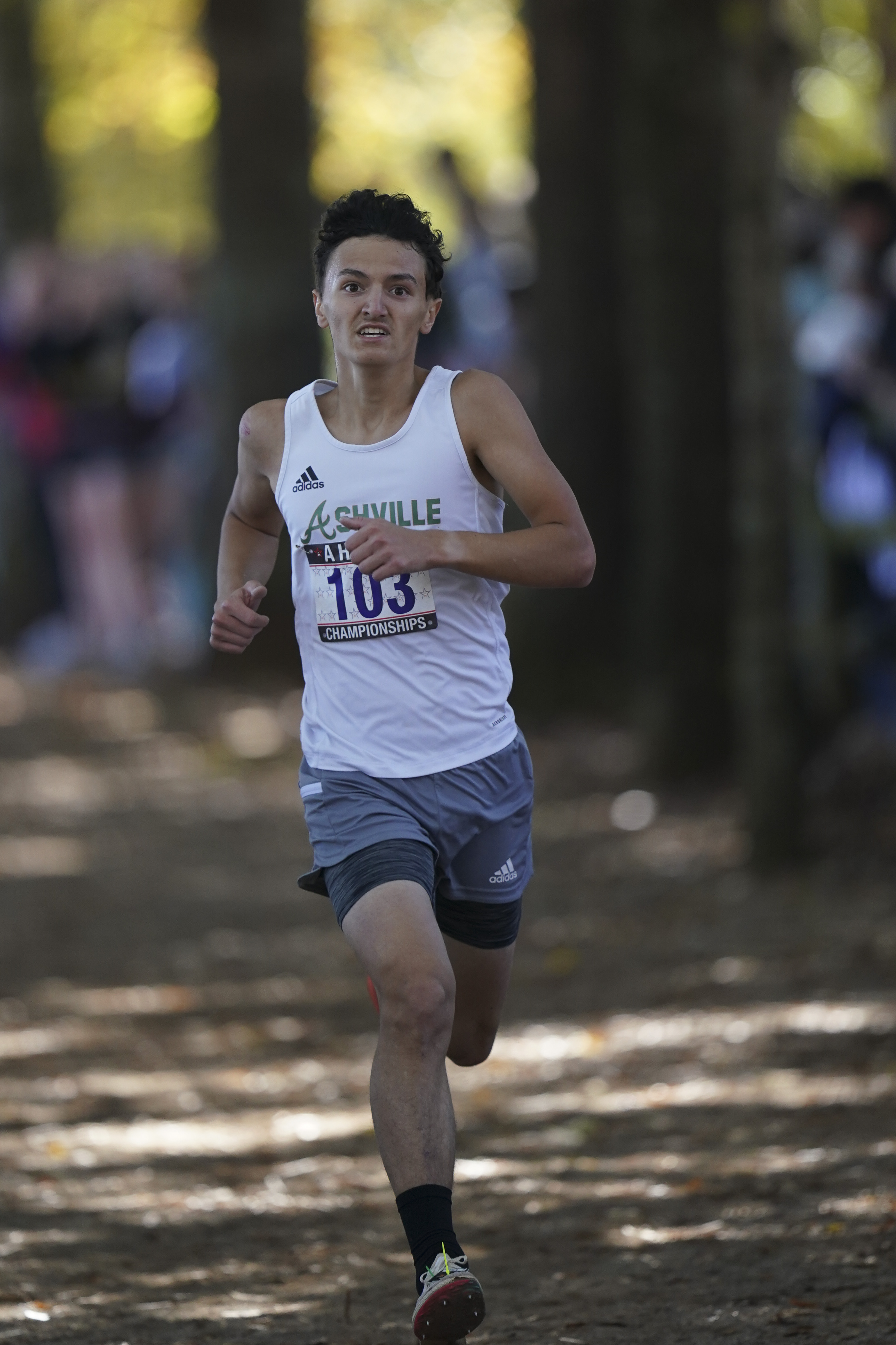 Alabama High School Cross Country Championship - al.com