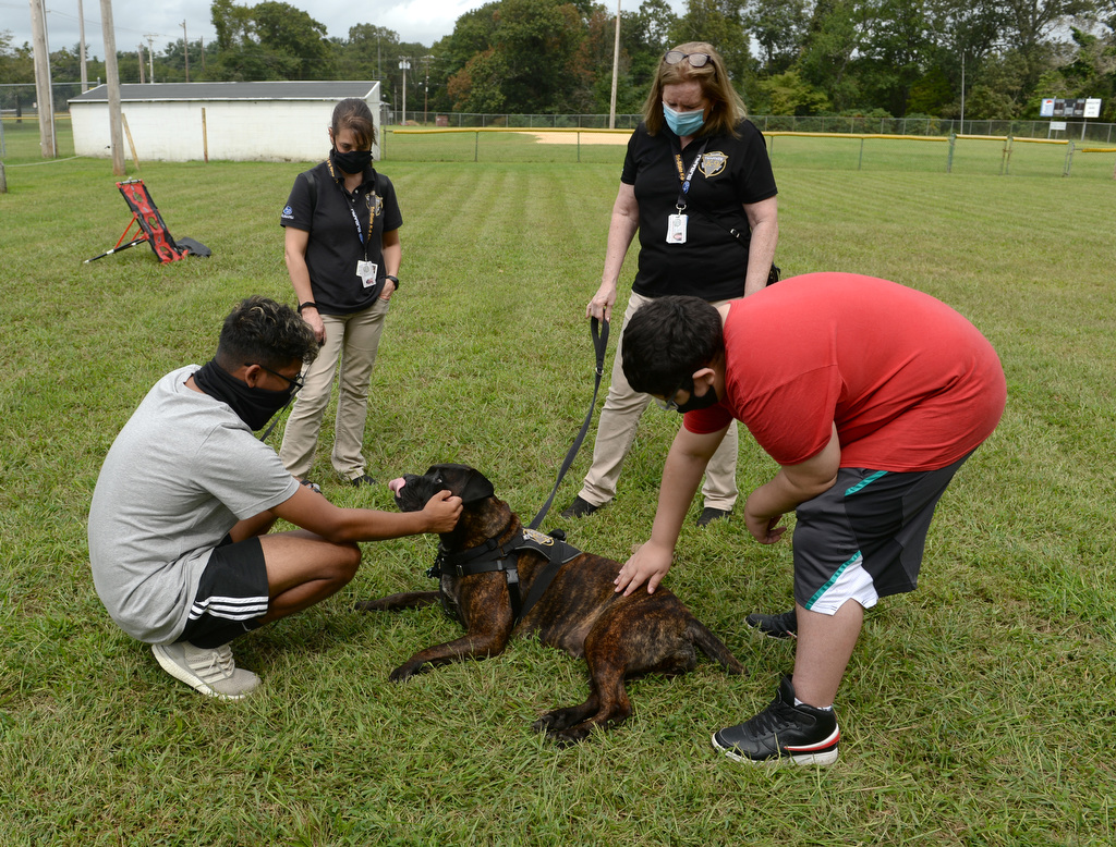 Dulce's Day at Bridgeton City Park, Sept. 13, 2020 - nj.com