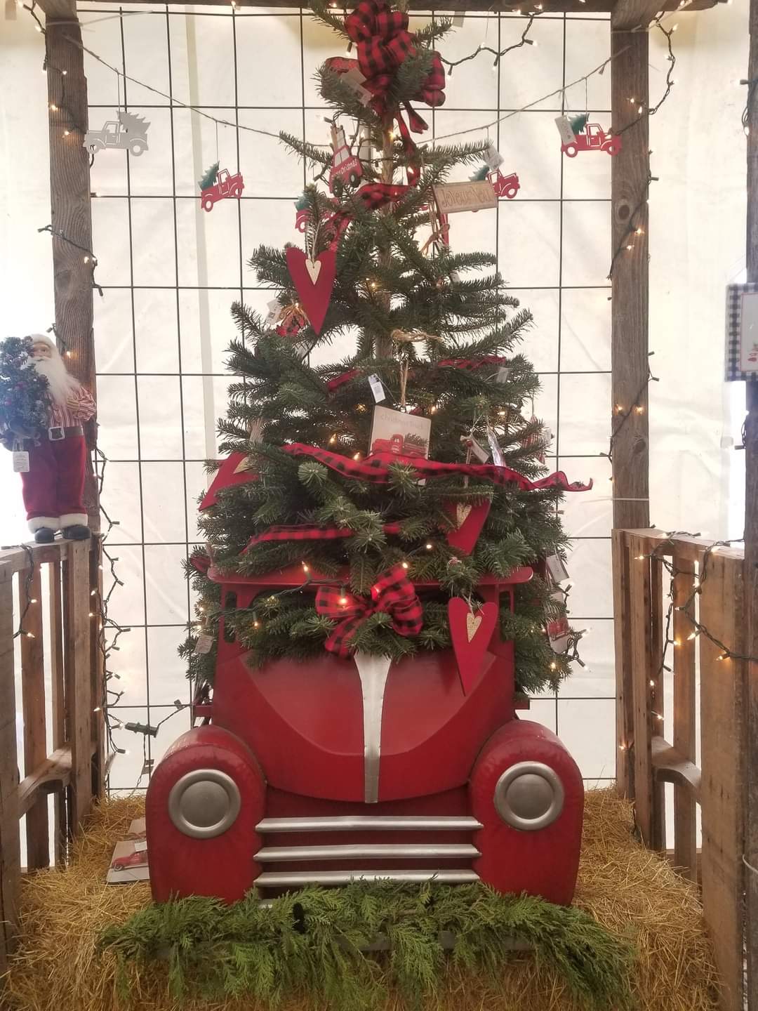 Oregon Christmas Tree Farm - oregonlive.com