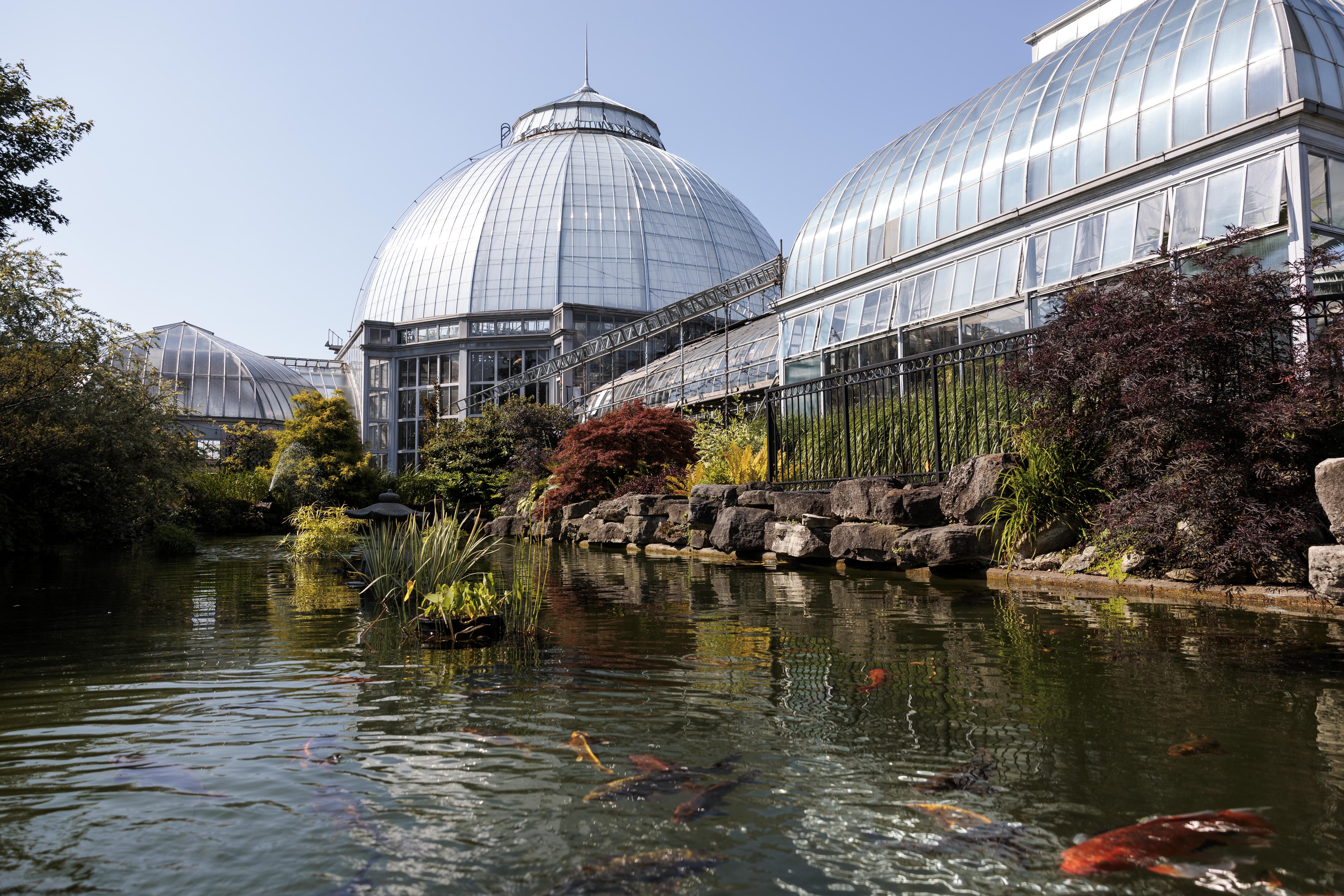 Belle Isle Conservatory - mlive.com