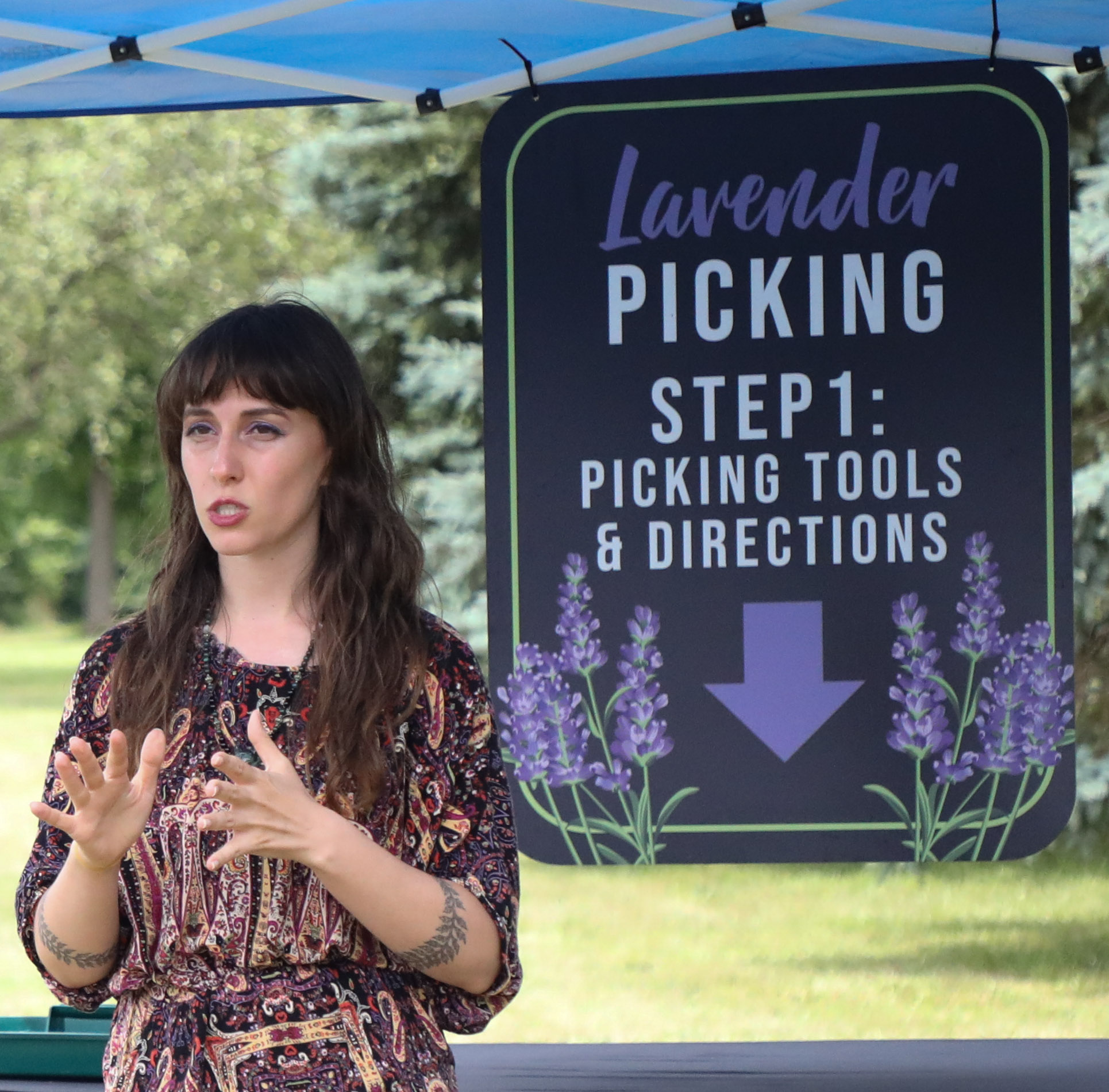 NY Lavender Festival 2021 - newyorkupstate.com
