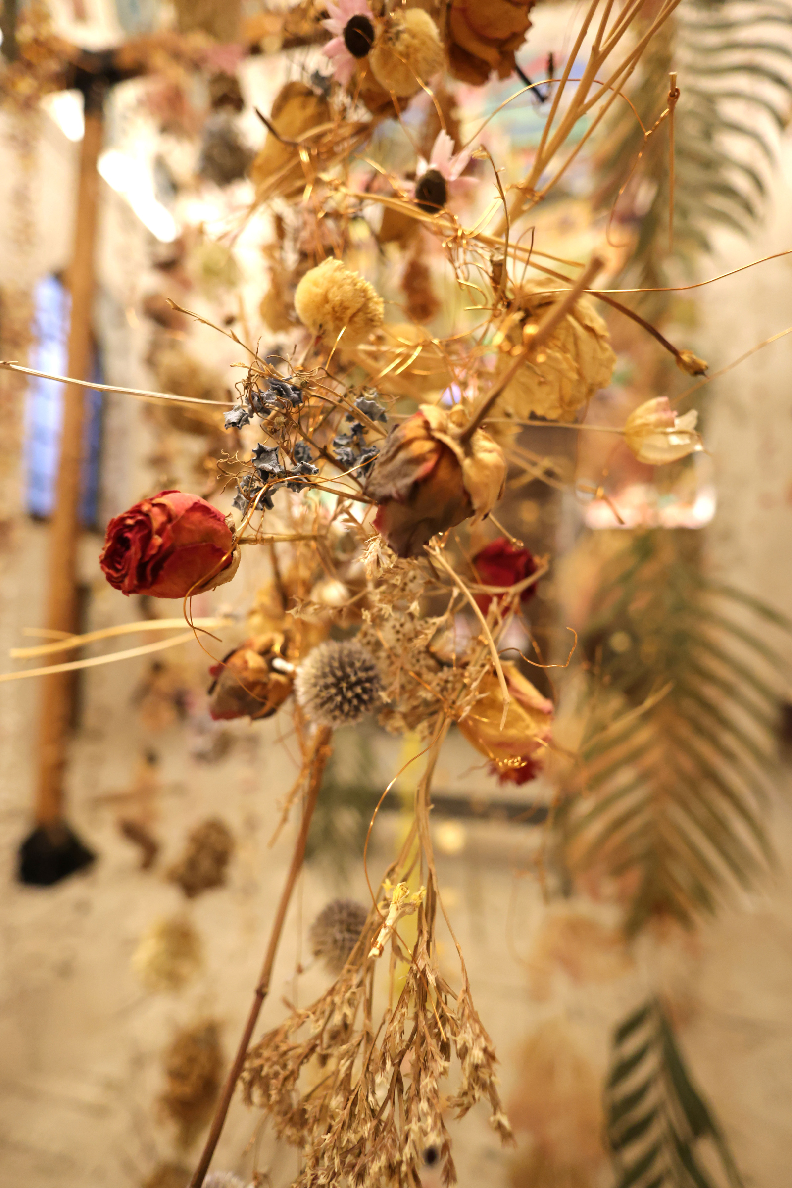 "The Archive" floral exhibit on display in Cleveland - cleveland.com