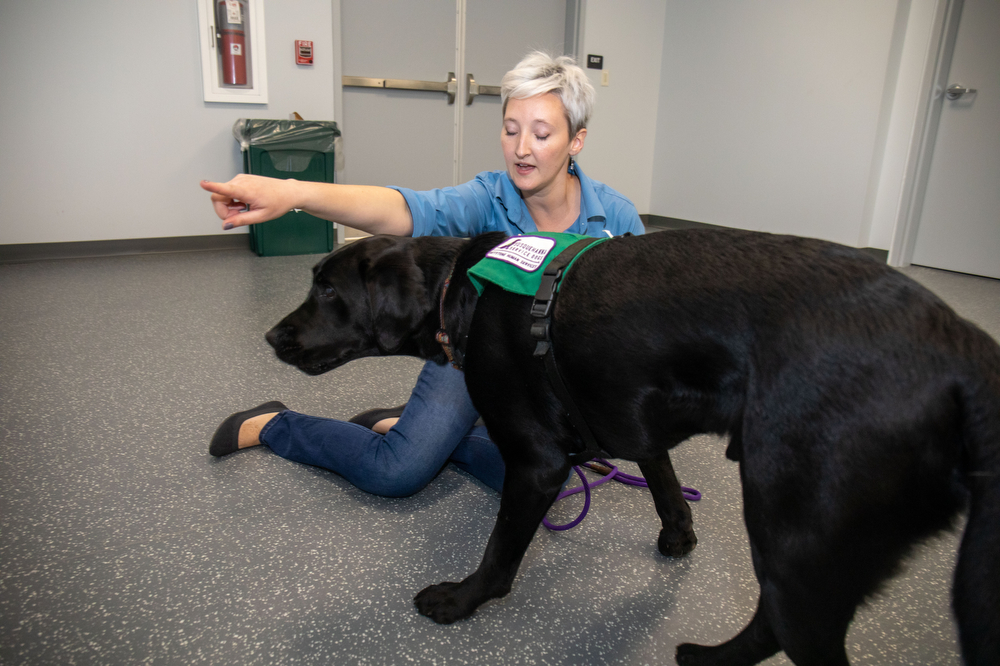 Susquehanna Service Dogs opens new training center in East Hanover ...