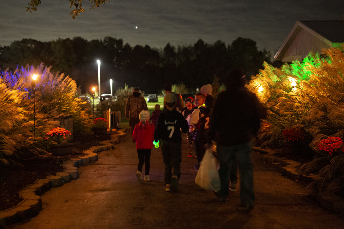 Wiard's Night Terrors: Haunted Thrill Park - mlive.com