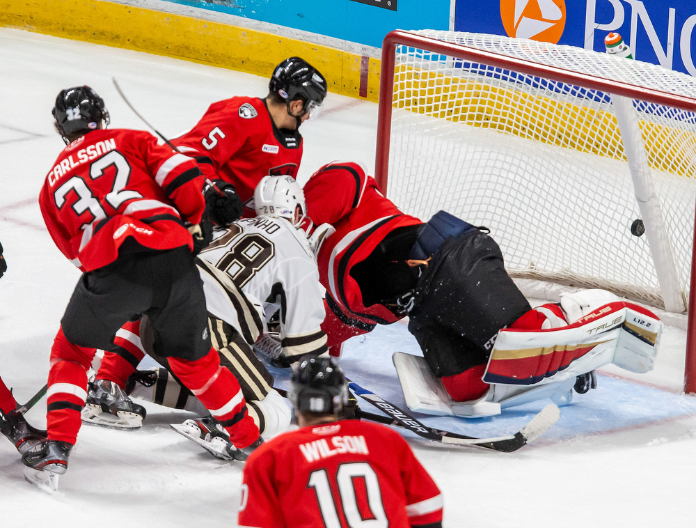 Hershey Bears vs Charlotte Checkers at the Giant Center - pennlive.com