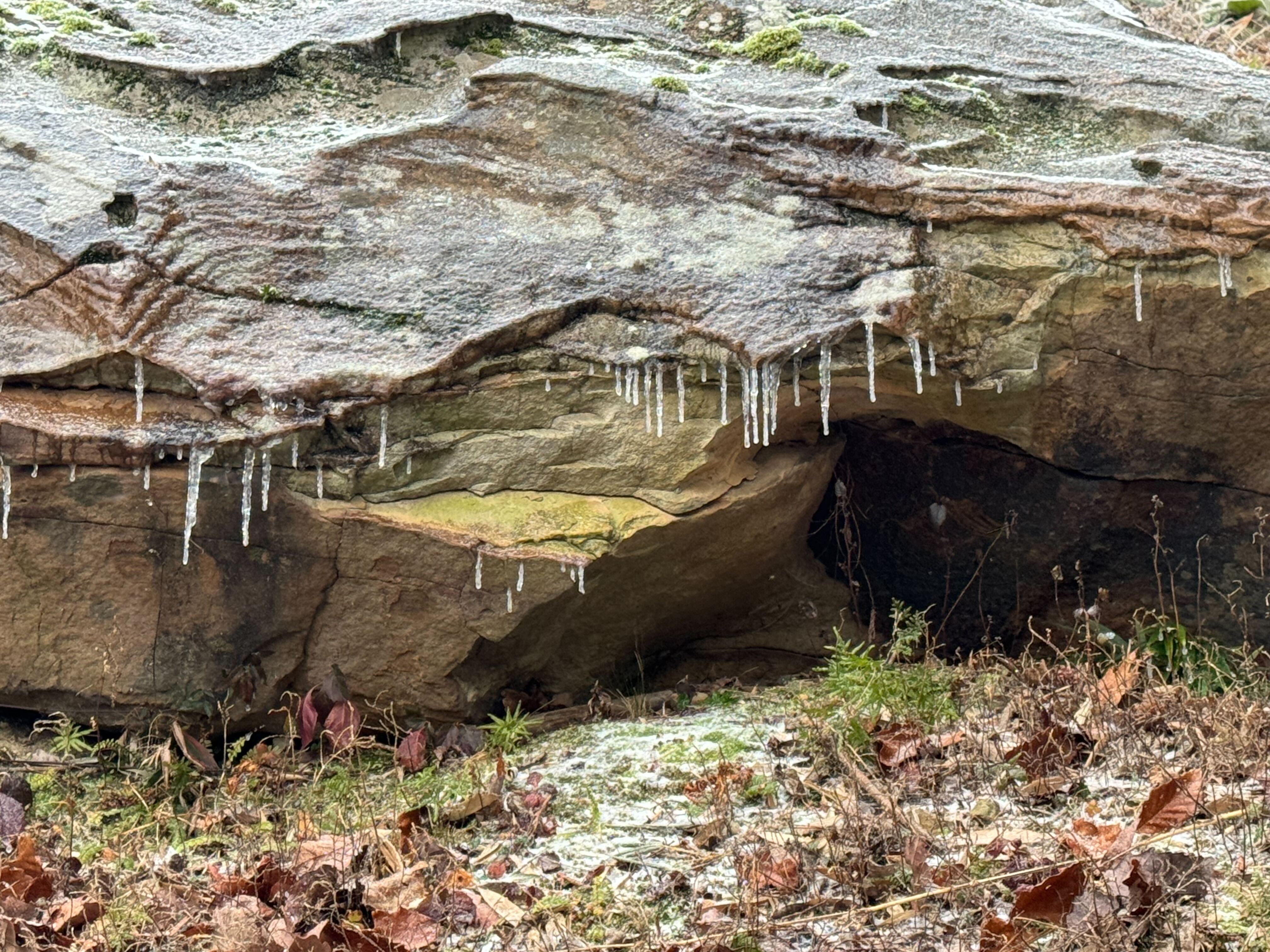 Alabama snow January 2024 - al.com