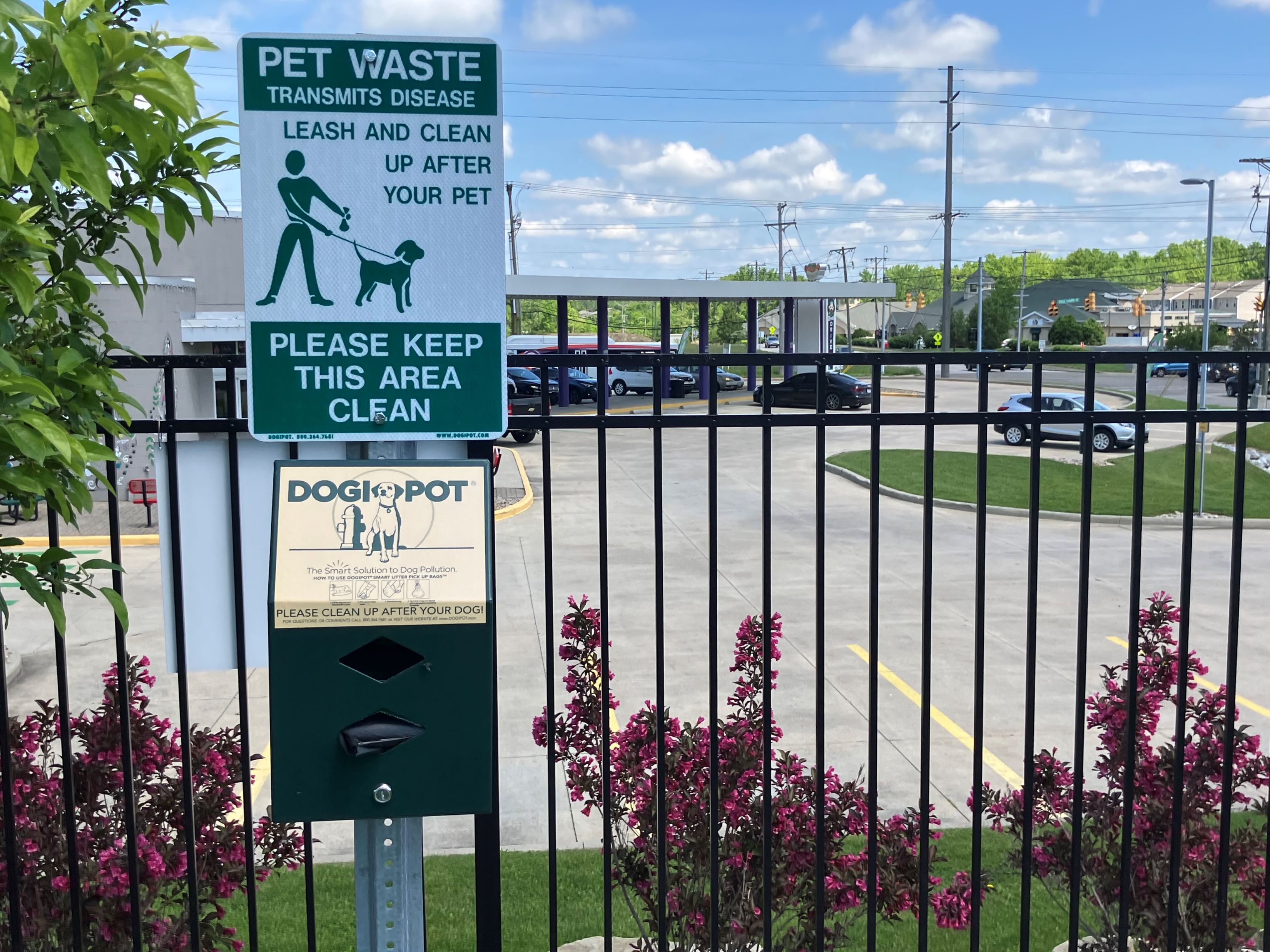 Doodle Drive-In - cleveland.com