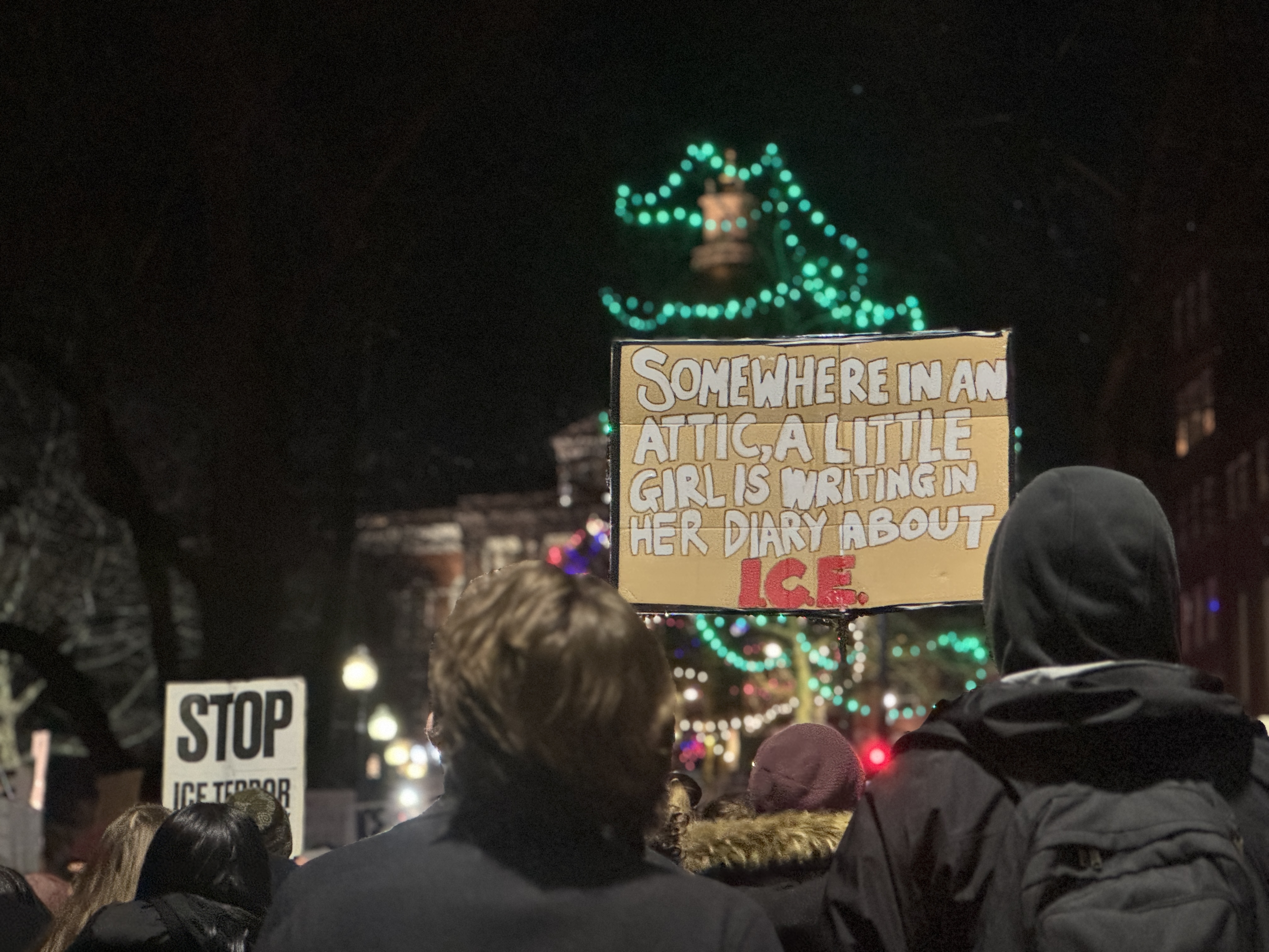 Protest against ICE, for Renee Nicole Good in Boston - masslive.com