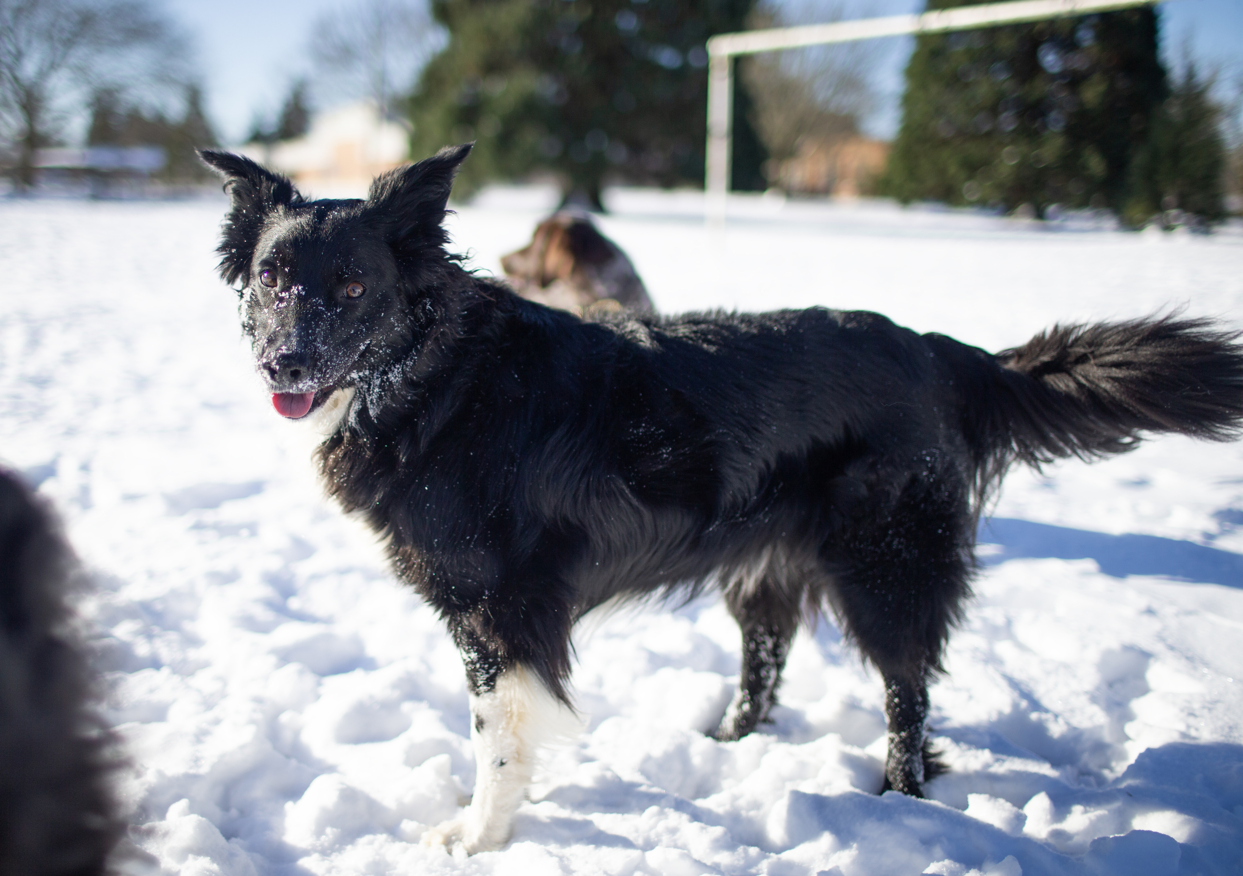Snow in Portland: Friday, Feb. 24, 2023 - oregonlive.com