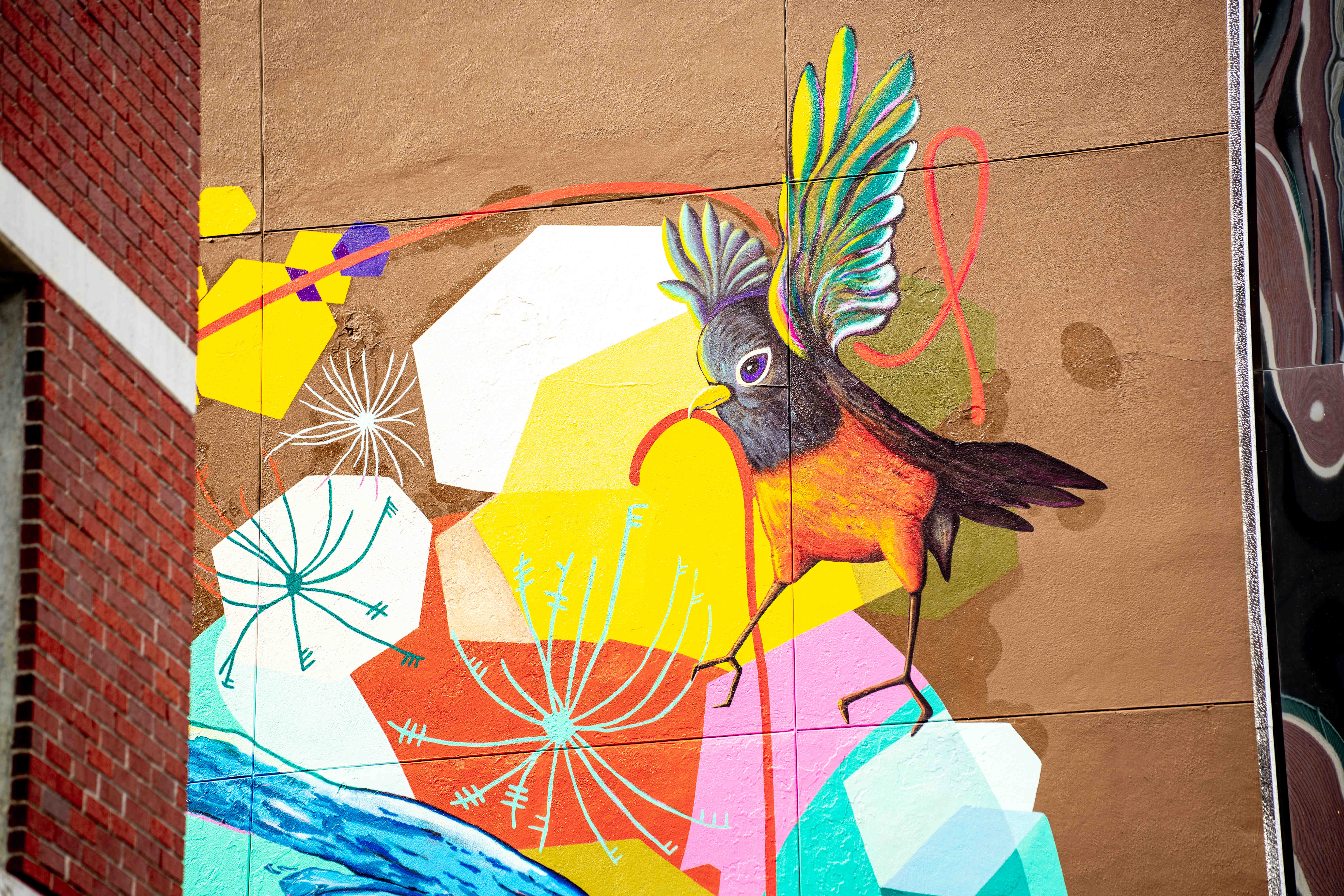 See how these downtown Kalamazoo walls were transformed Brush the Block ...