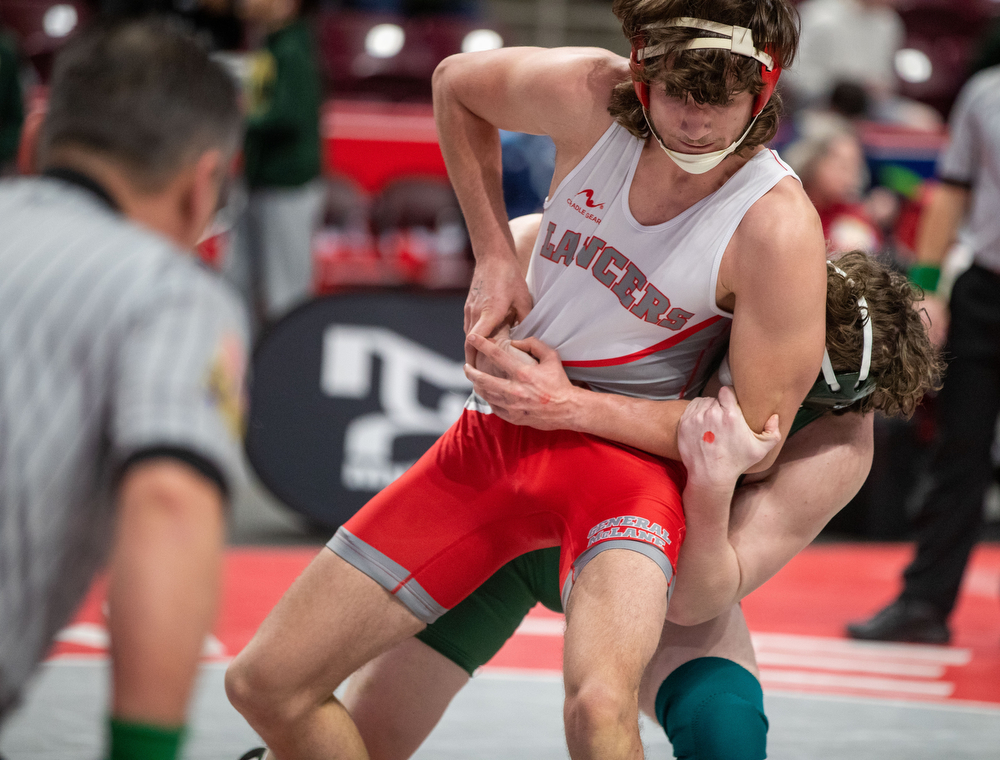 Central Dauphin advances in the 2022 PIAA 3A team wrestling ...