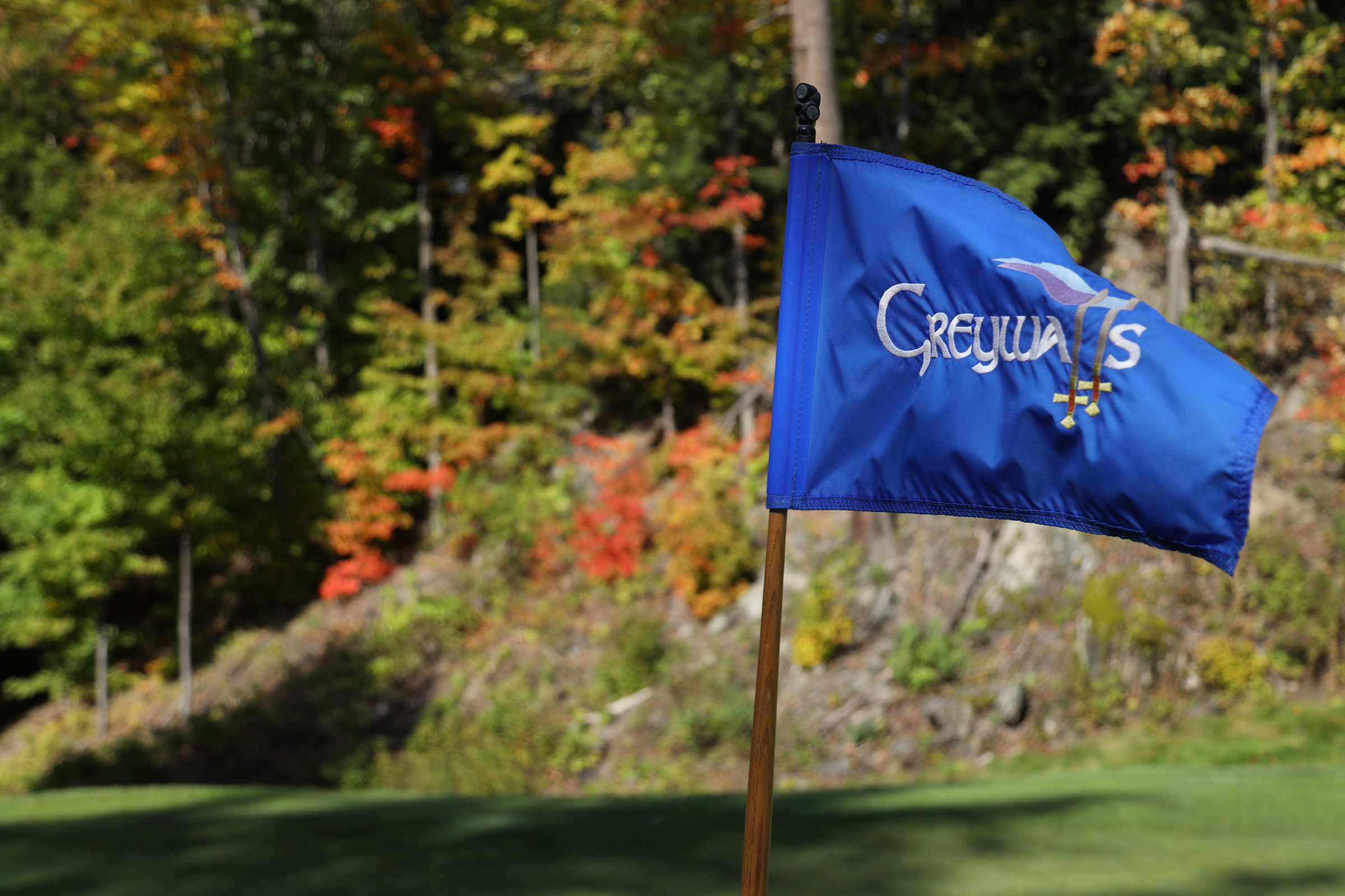 Top Public Golf Courses in Michigan - mlive.com