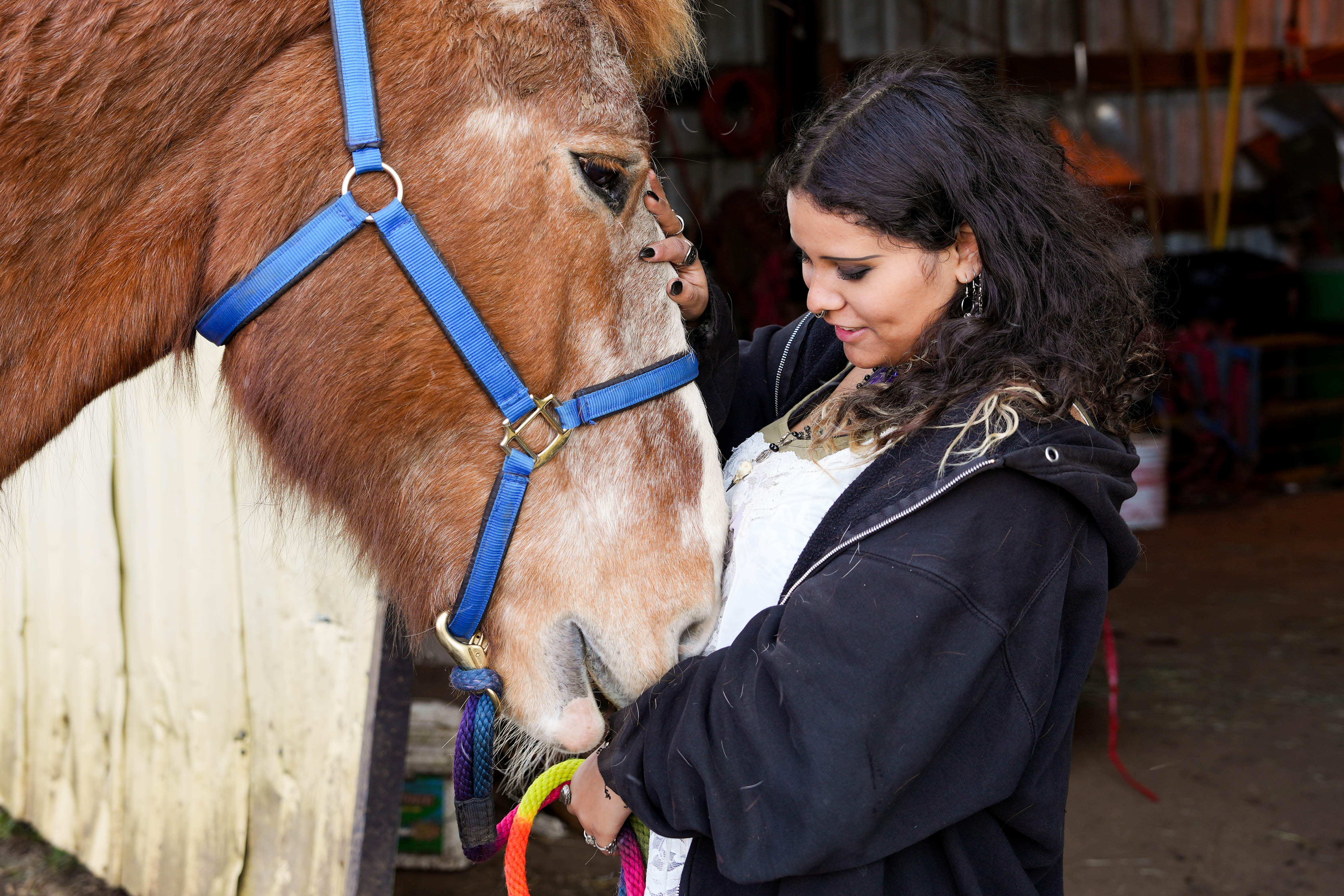 A horse rescue in Sandy brings joy to youth - oregonlive.com
