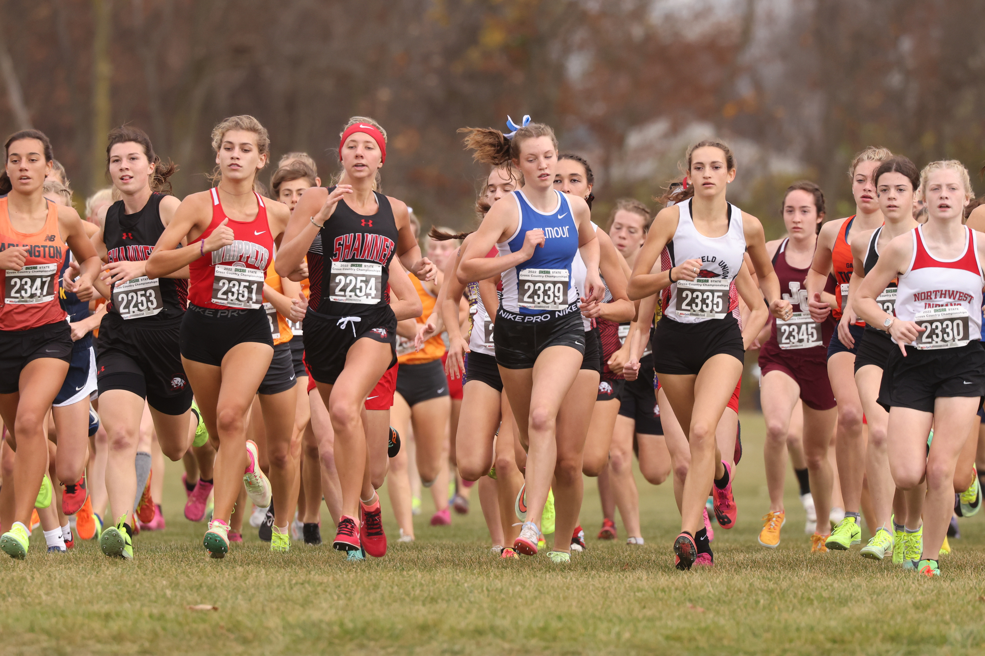 Division II Ohio High School Cross Country Championships 2022 ...