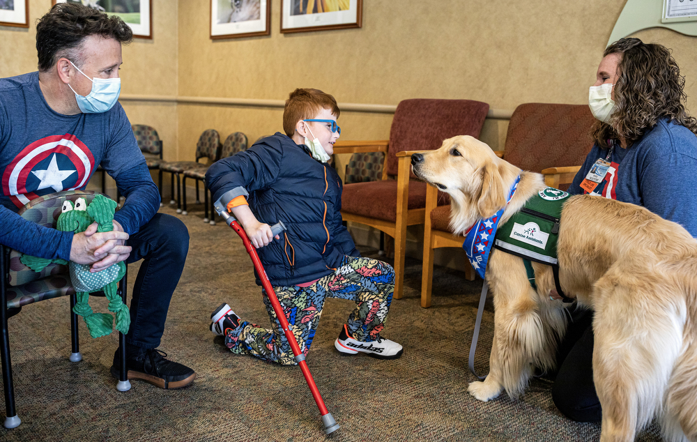 New facility dog helps patients at Penn State Health Children’s ...