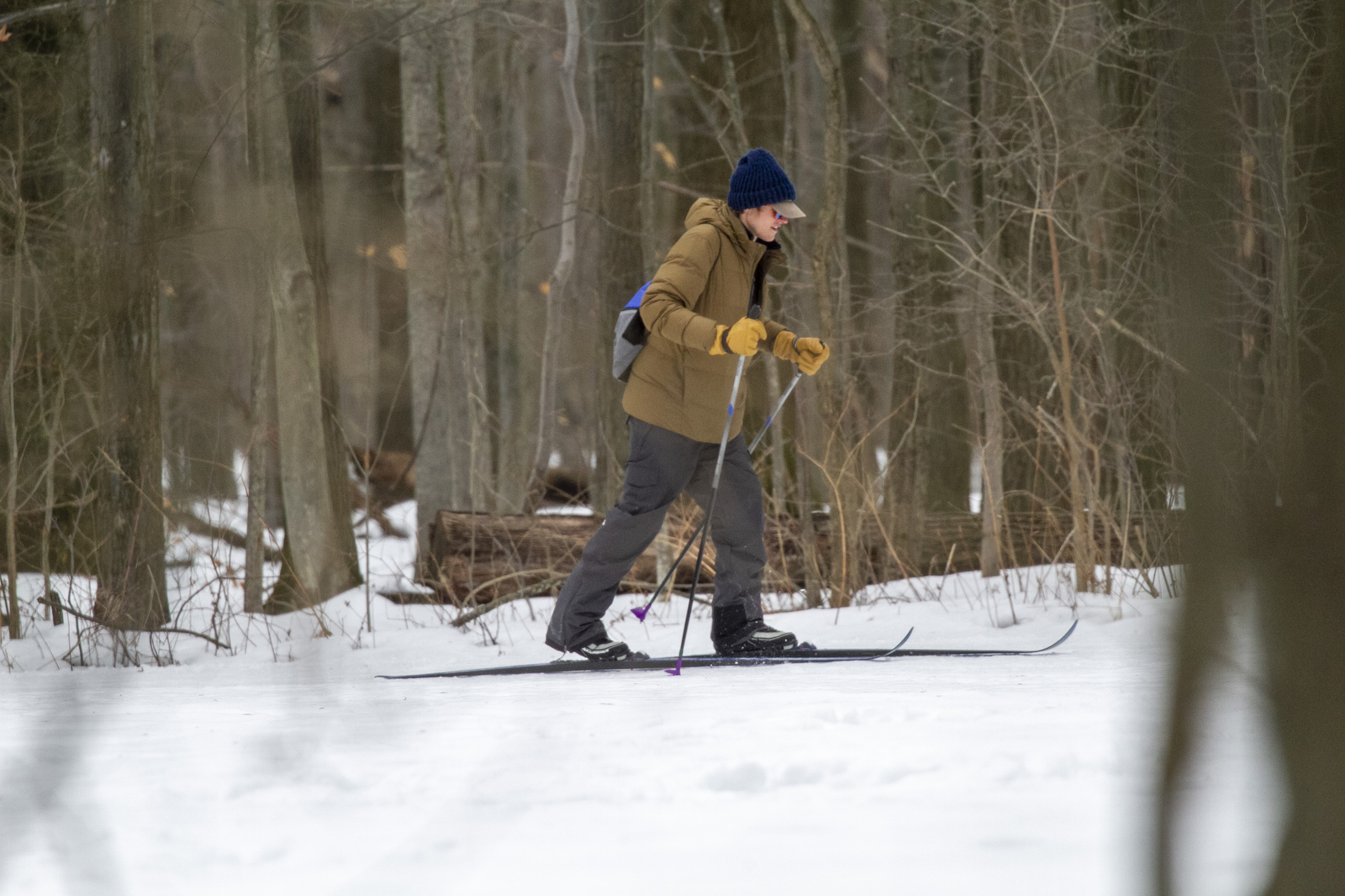 Cross-country skiing and snowshoeing around Northeast Ohio - cleveland.com