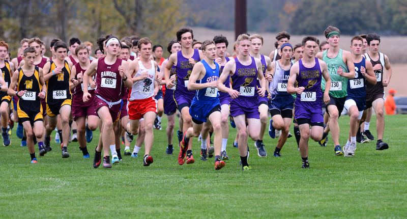 Colonial League Cross Country Championships - lehighvalleylive.com