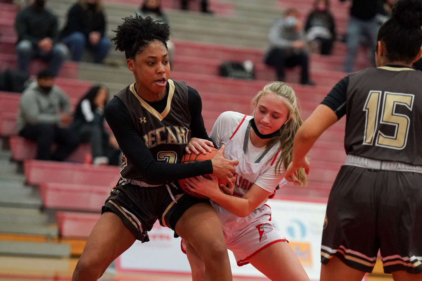 Parkland girls basketball hosts Bethlehem Catholic on Jan. 18, 2022 ...