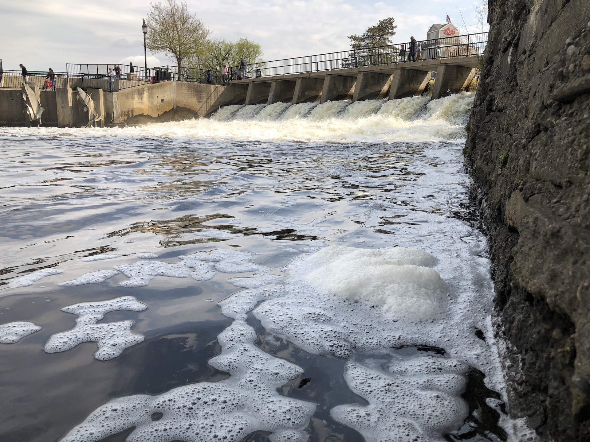 Rogue River PFAS contamination - mlive.com