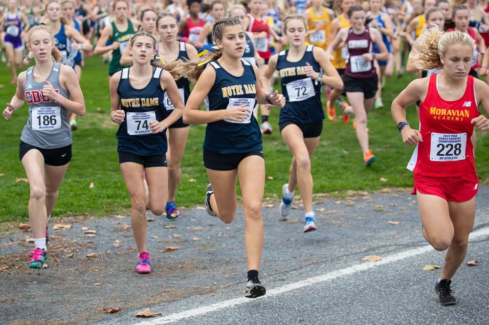 The 2022 PIAA Girls Cross Country Championships at Hershey - pennlive.com