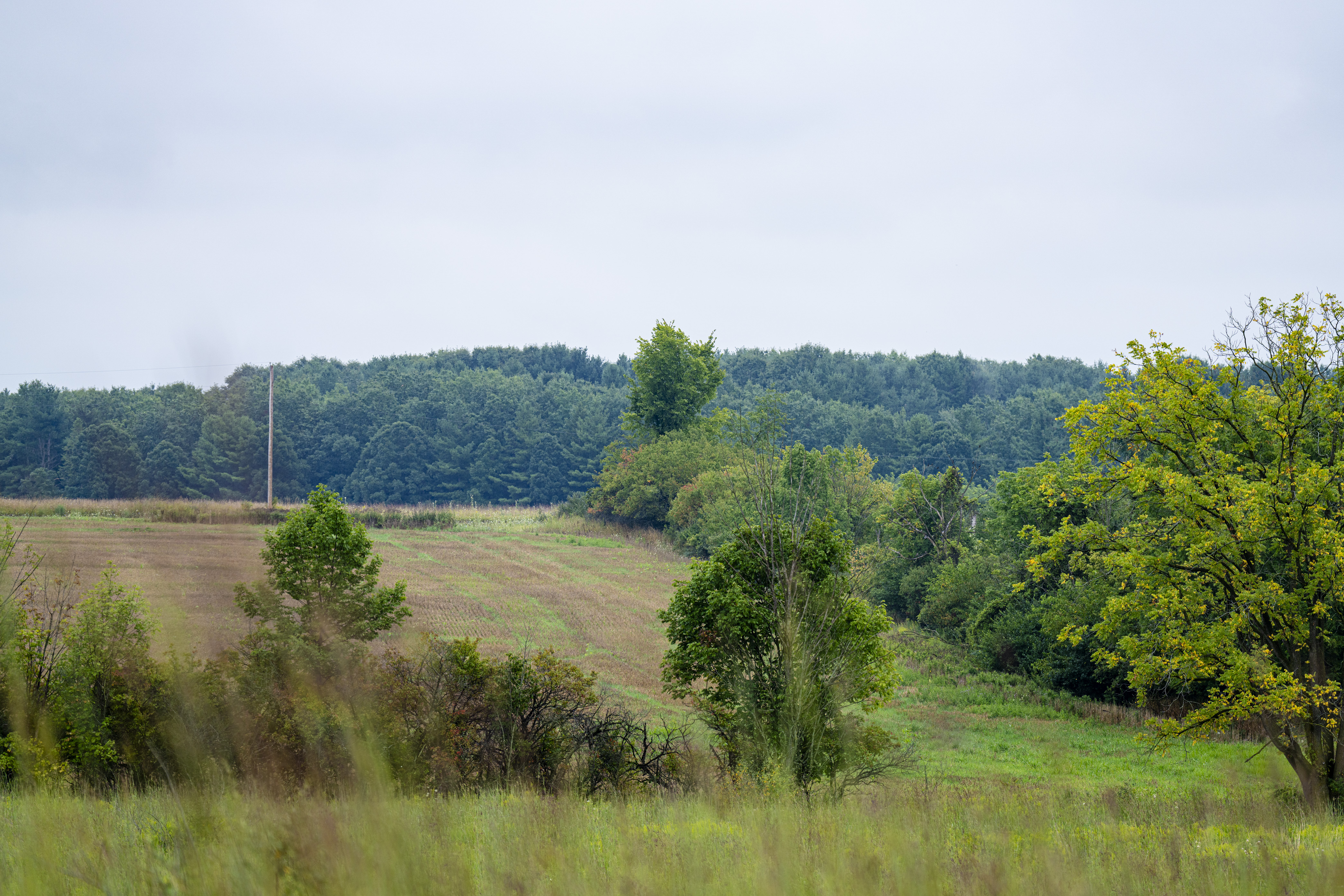 Wetland Restoration Project in Lenawee County - mlive.com