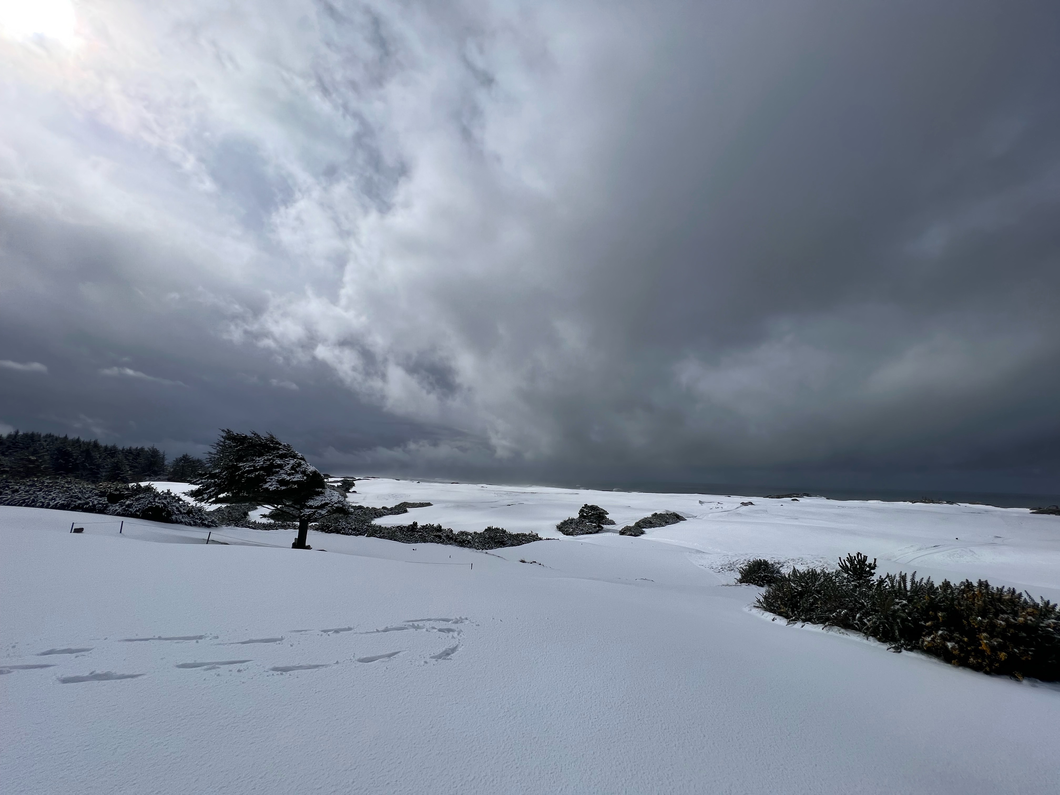 Rare snowfall hits Oregon coast - oregonlive.com