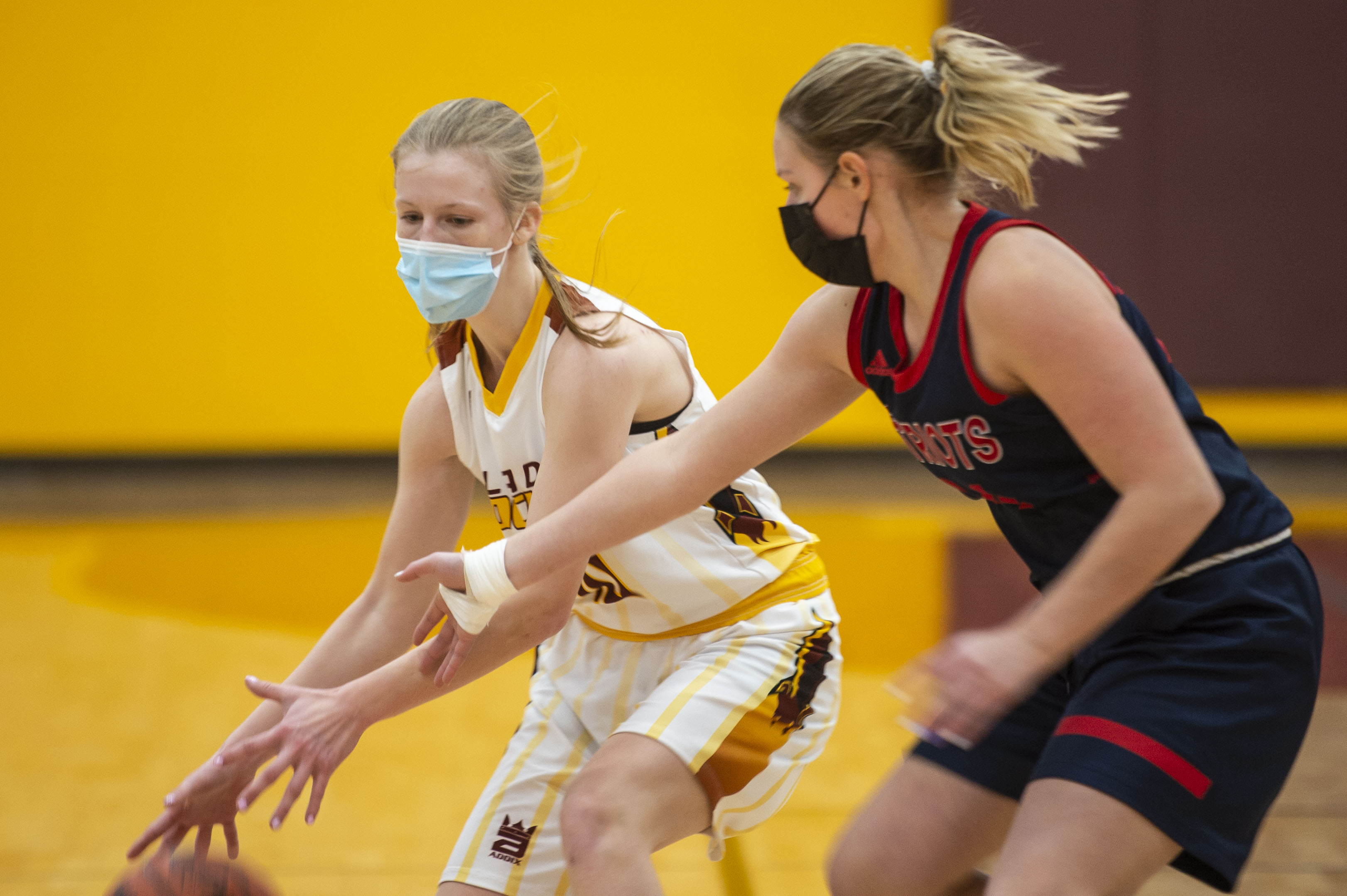 Reese girls basketball hosts Unionville-Sebewaing in rivalry showdown ...
