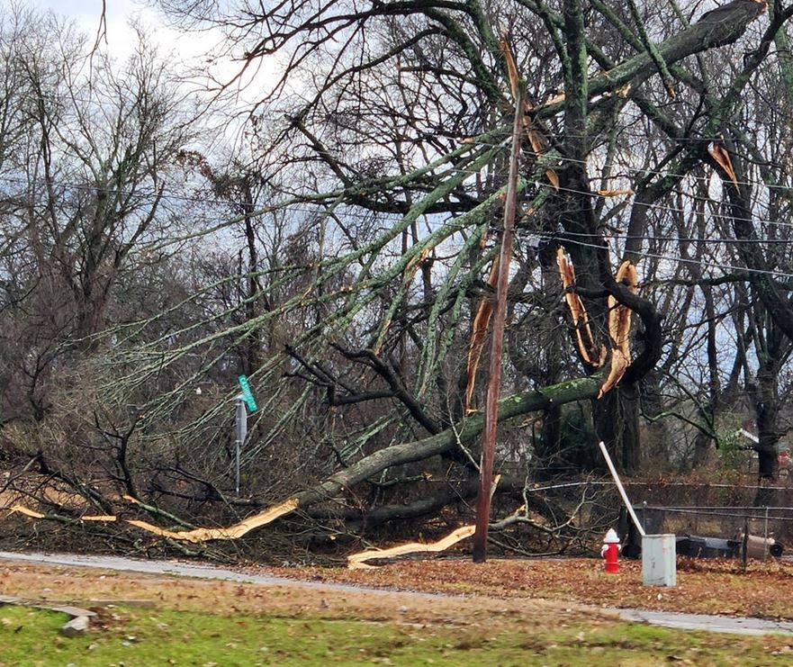 Storm damage in Alabama - al.com