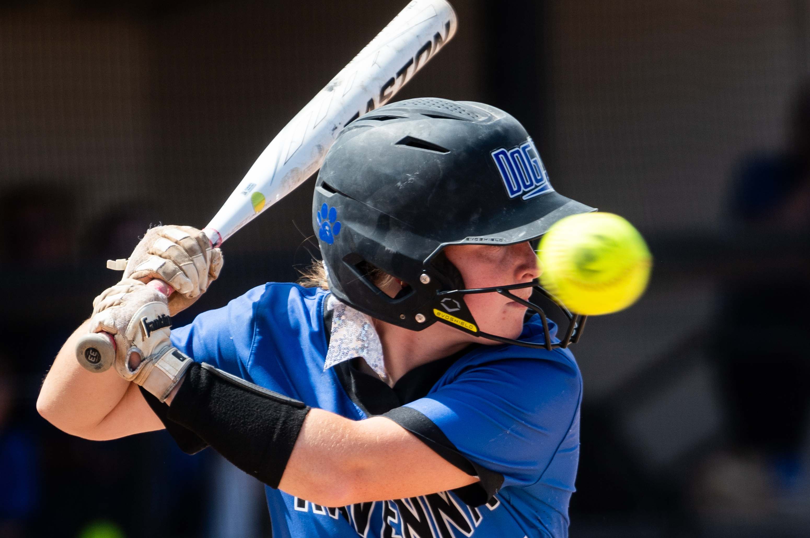 Buchanan's late rally secures MHSAA D3 softball quarterfinal over ...