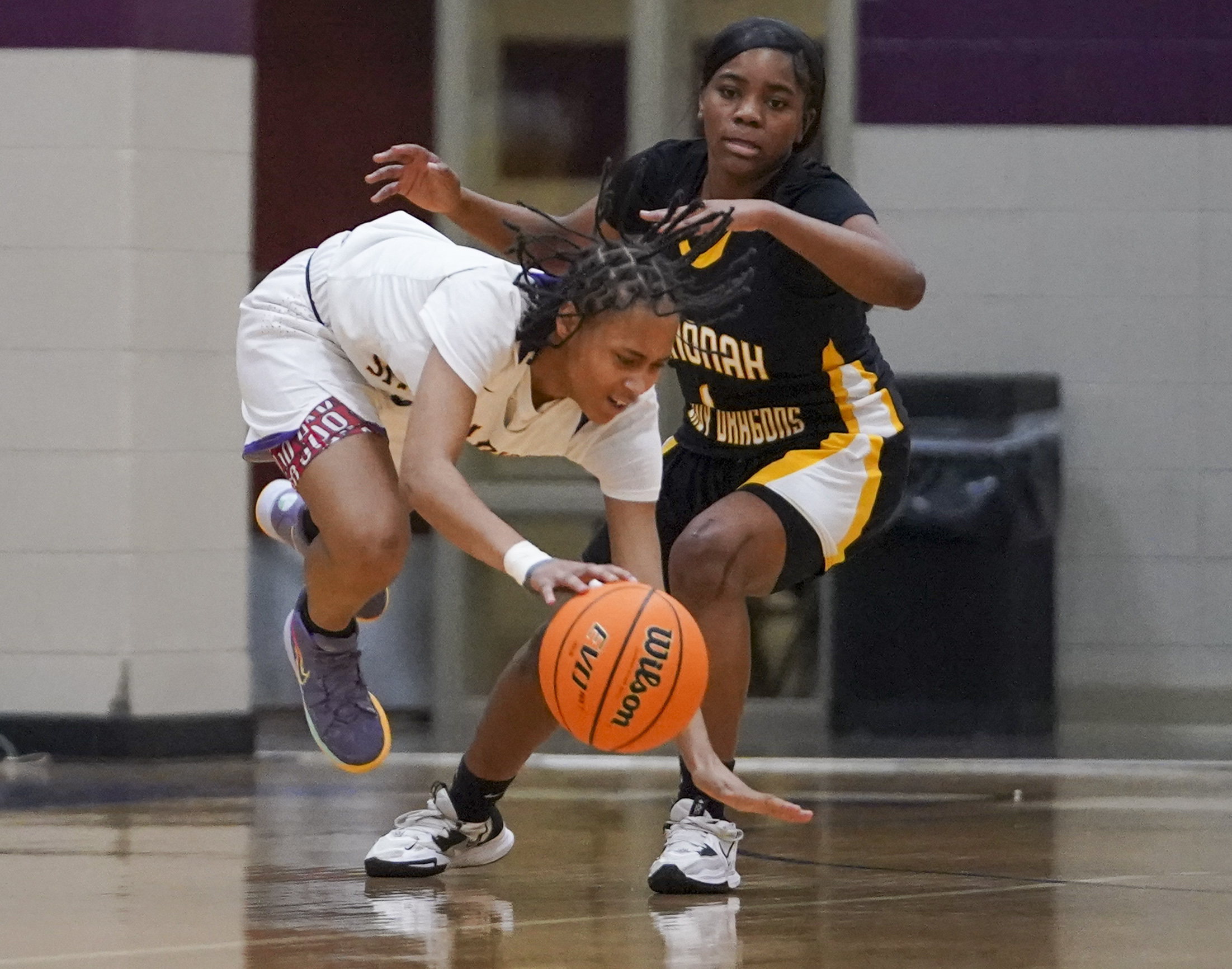 Girls High School Basketball: Class 5A, Area 9 Wenonah vs Pleasant ...