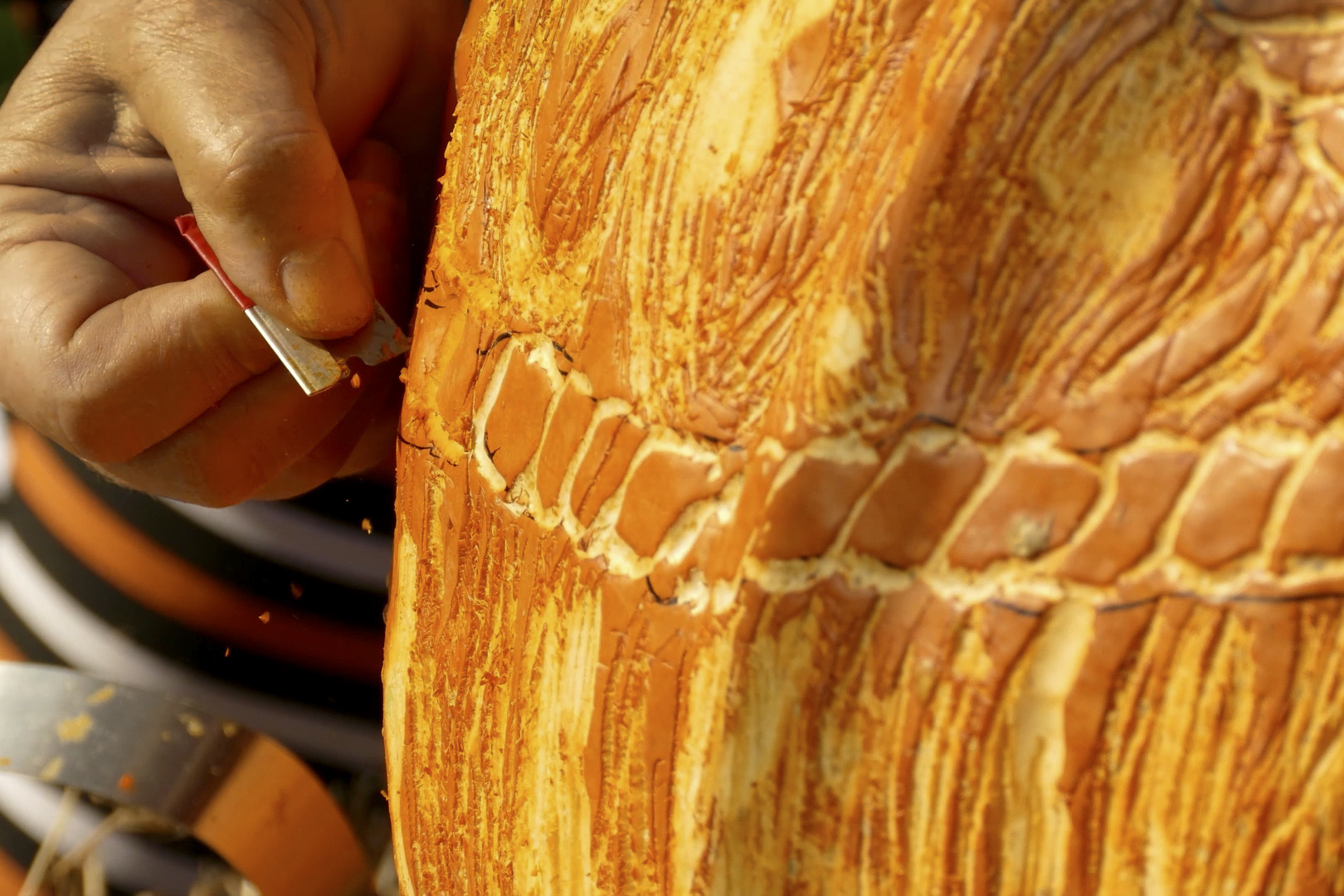 Artists at work carving pumpkins for Annual Amazing Pumpkin Carve ...