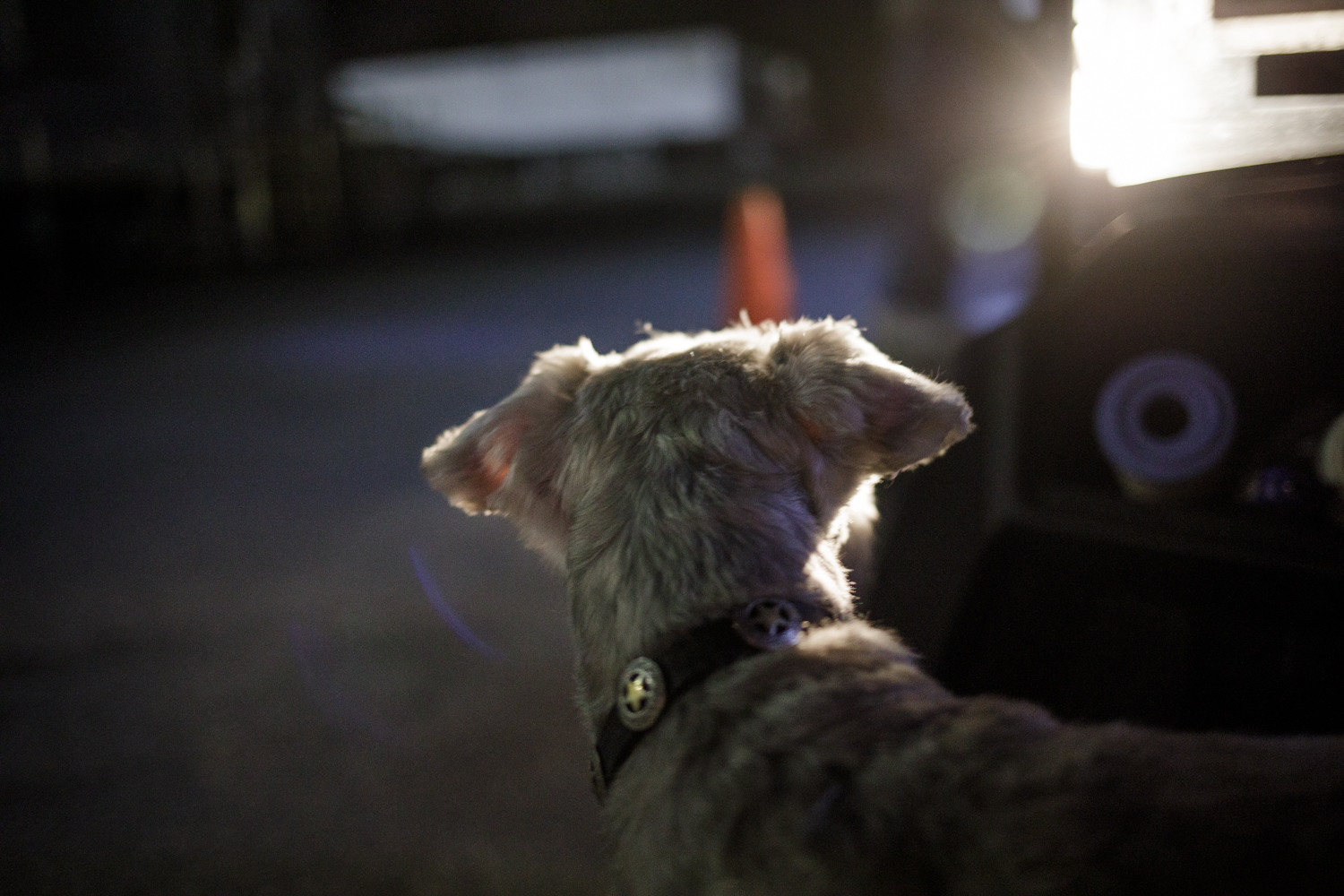 ‘I am where I want to be’; With his stalls at The Big E, Mark Piche ...