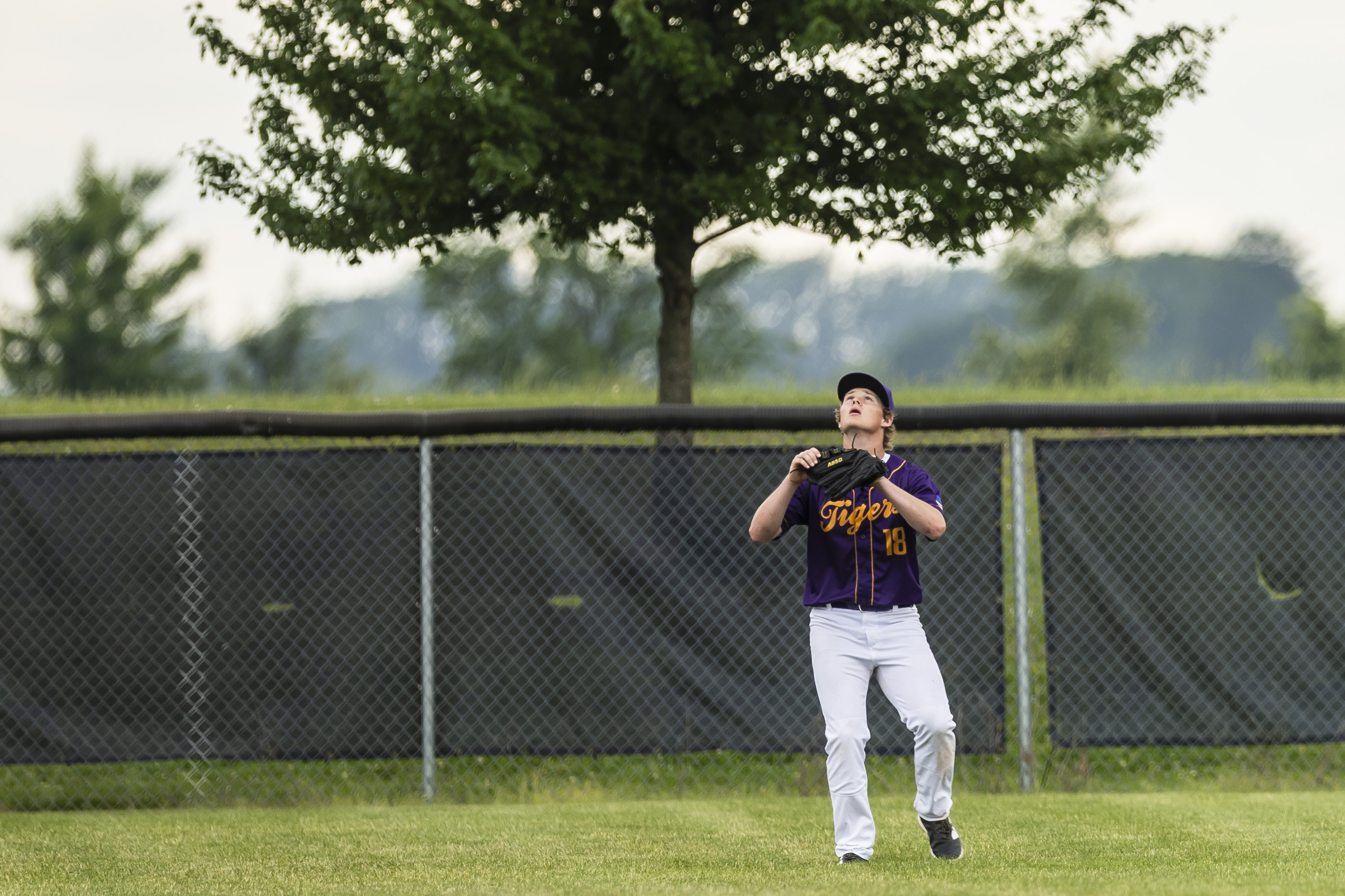 Hemlock baseball takes down Caro in regional semifinal game - mlive.com