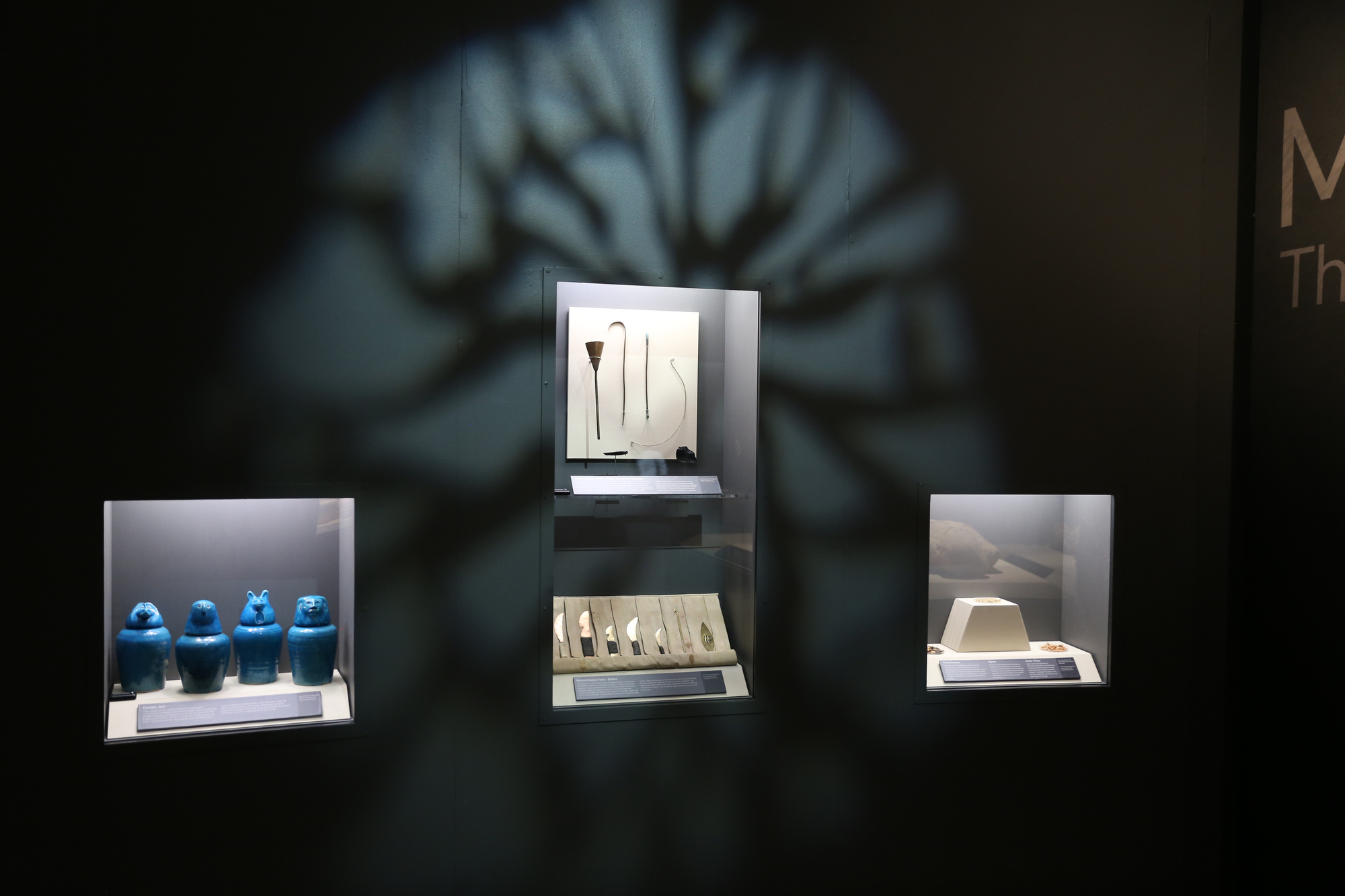 Mummies of the World on display at the Corner Gallery - cleveland.com