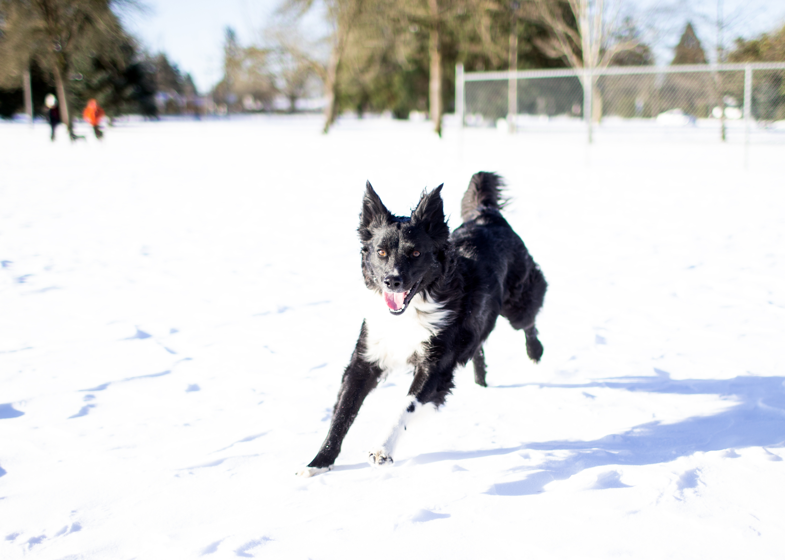 Snow in Portland: Friday, Feb. 24, 2023 - oregonlive.com