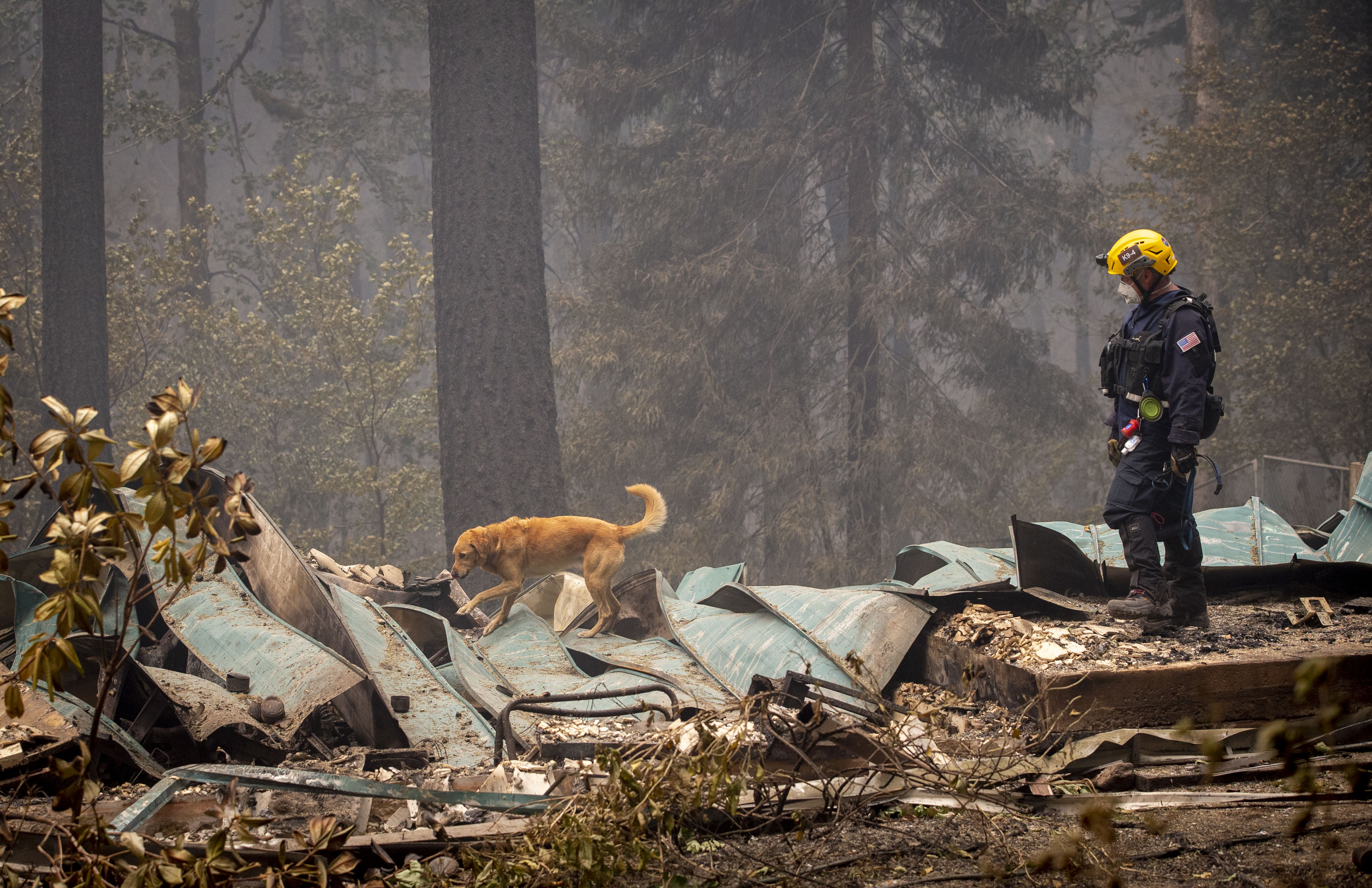 Holiday Farm wildfire damage - oregonlive.com