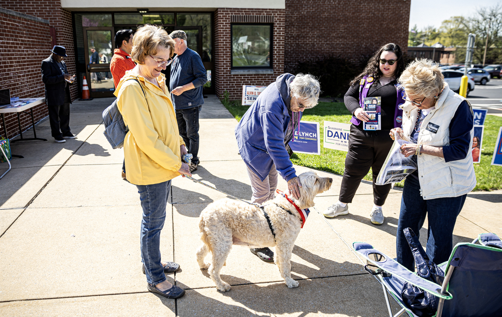 2024 primary election - pennlive.com
