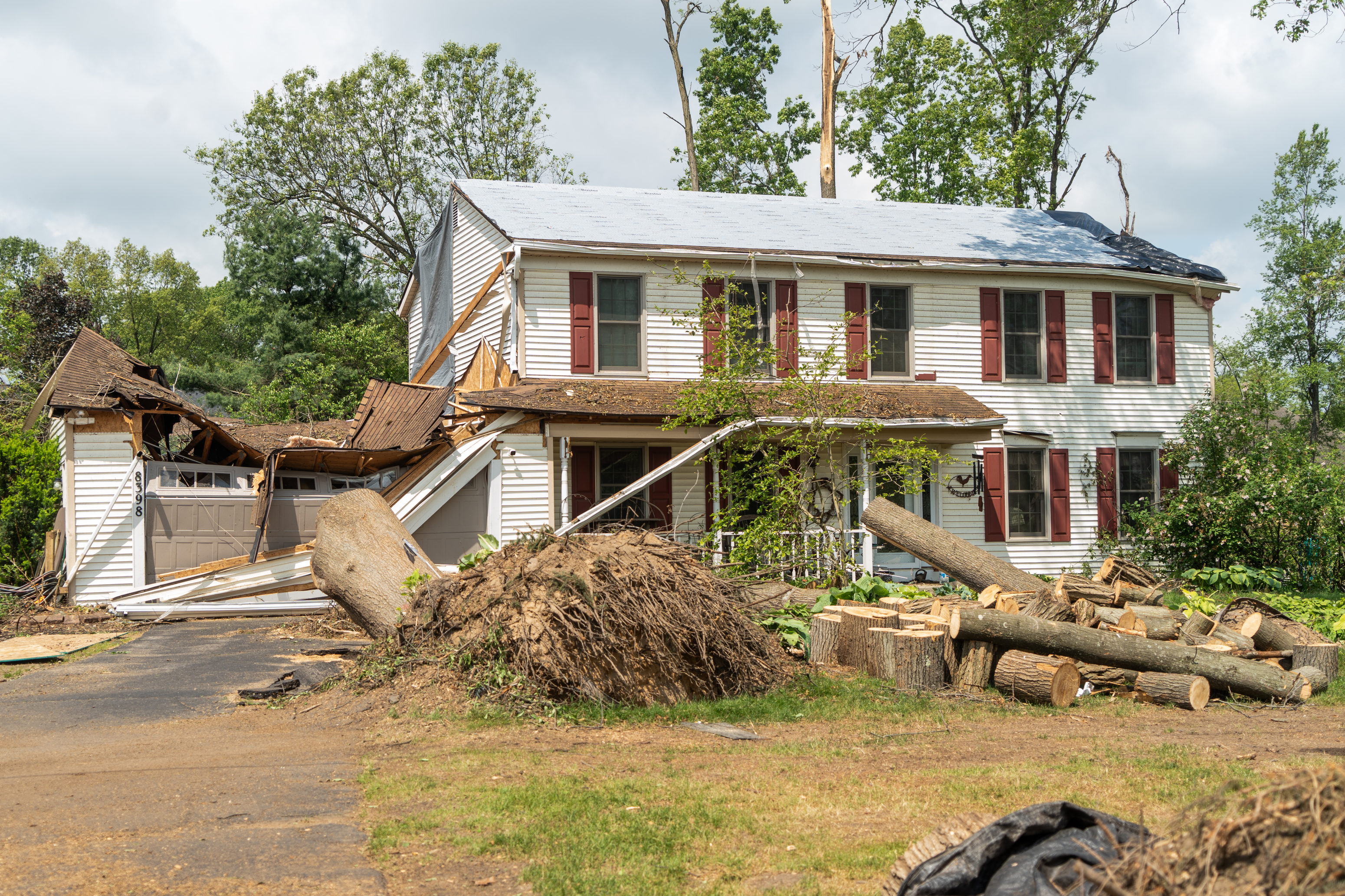 Tree removal continues in Colony Woods neighborhood - mlive.com