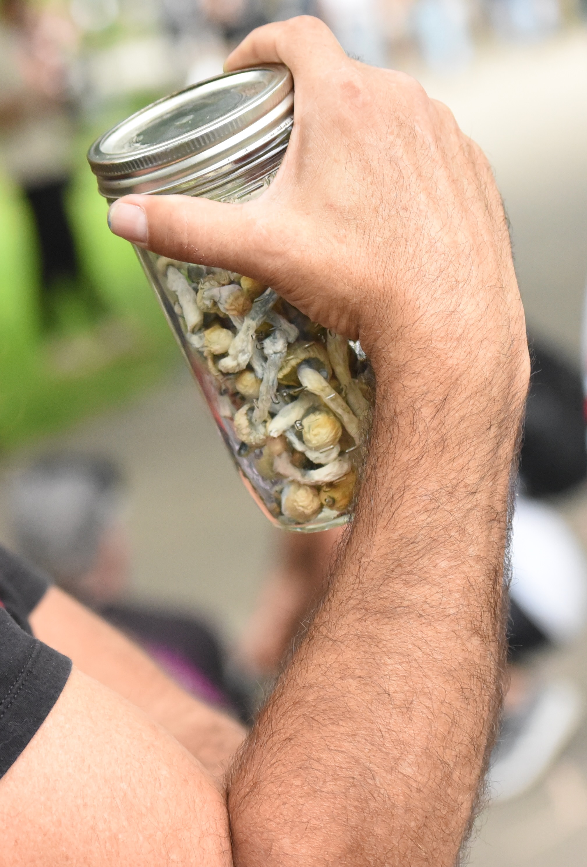 Scenes from Ann Arbor's 2023 psychedelic plant and shroom fest, a.k.a ...