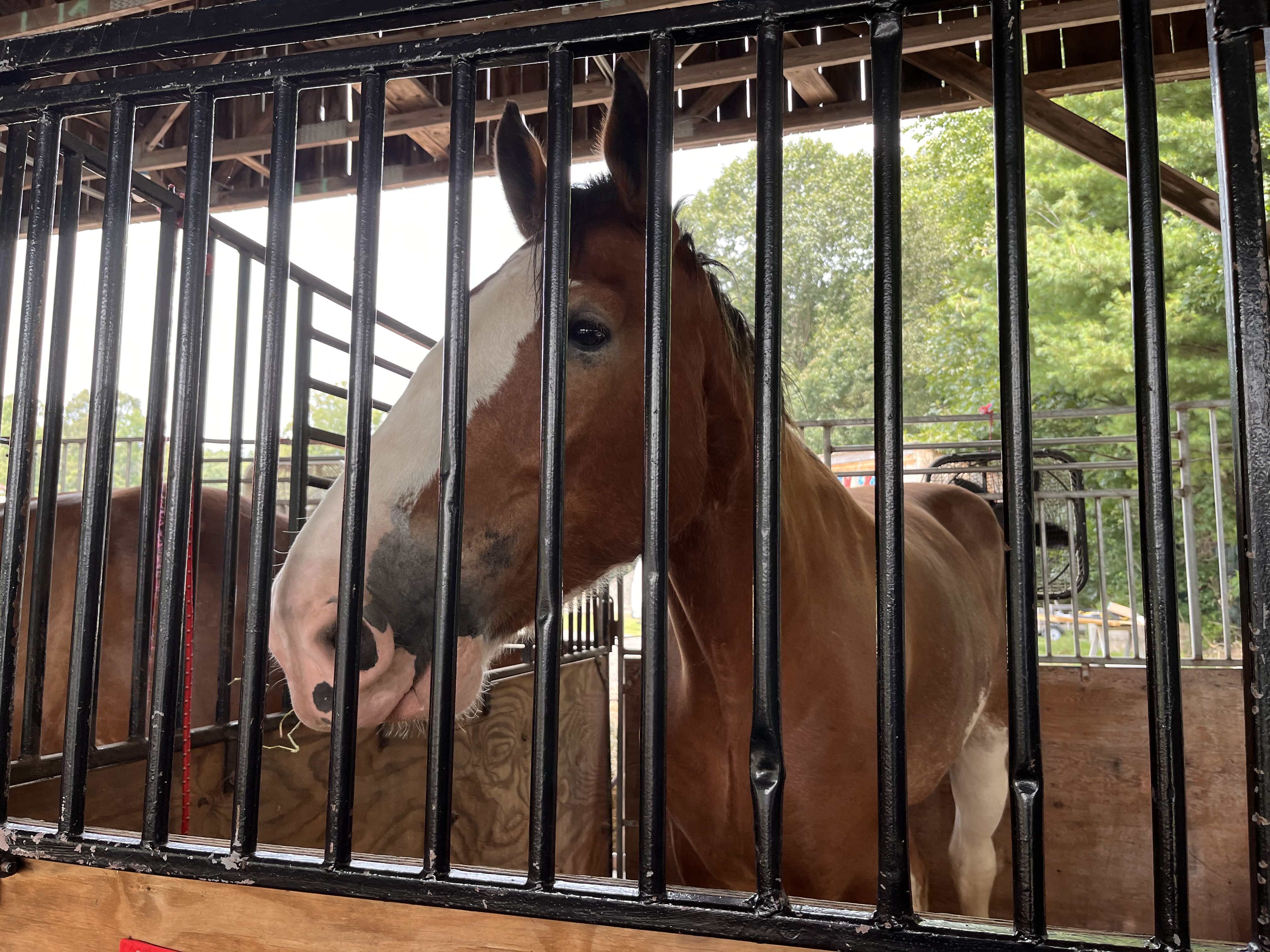 Bolton Fair Setup - masslive.com