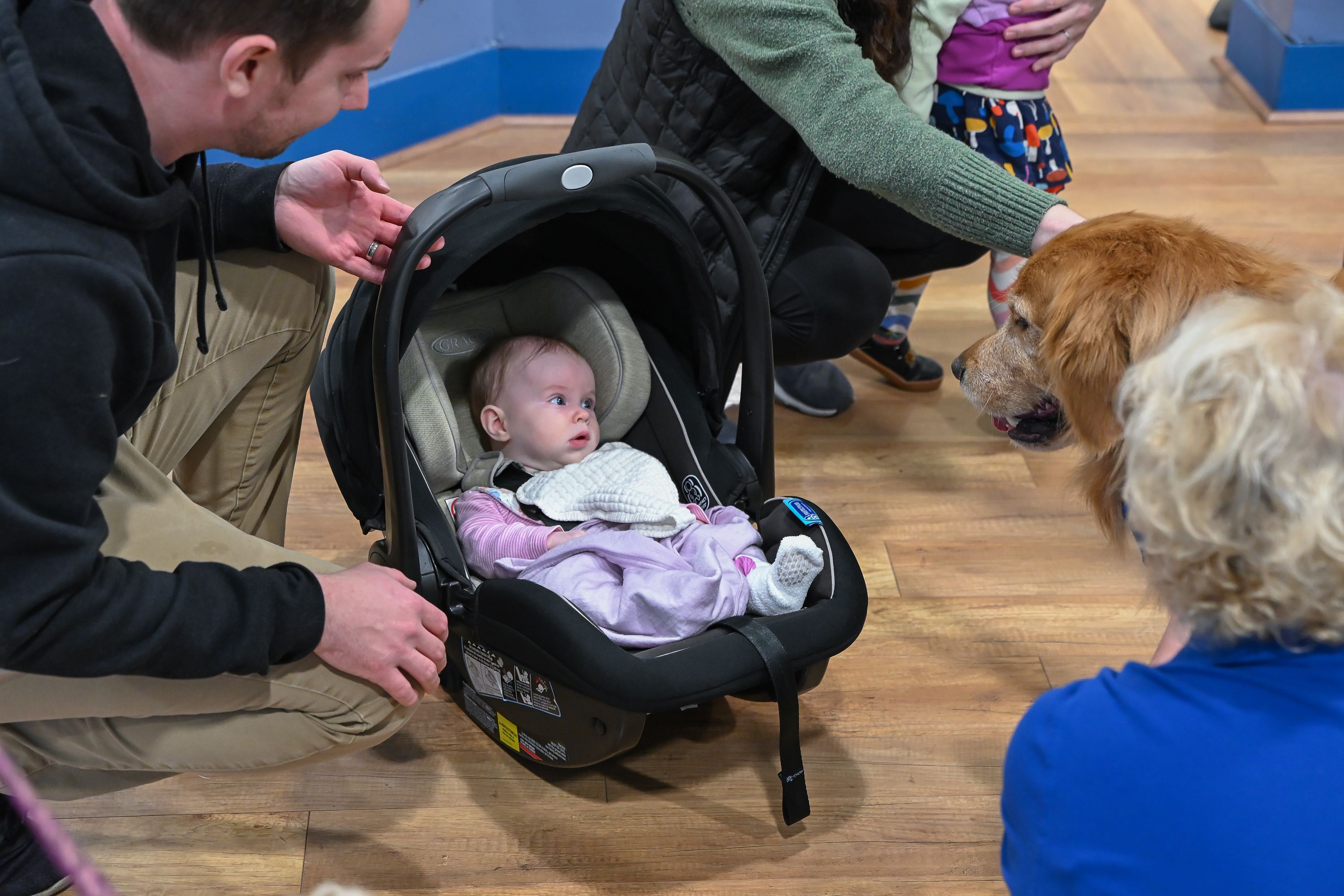 Paw & Play unleashes fun at Children’s Museum at Holyoke - masslive.com