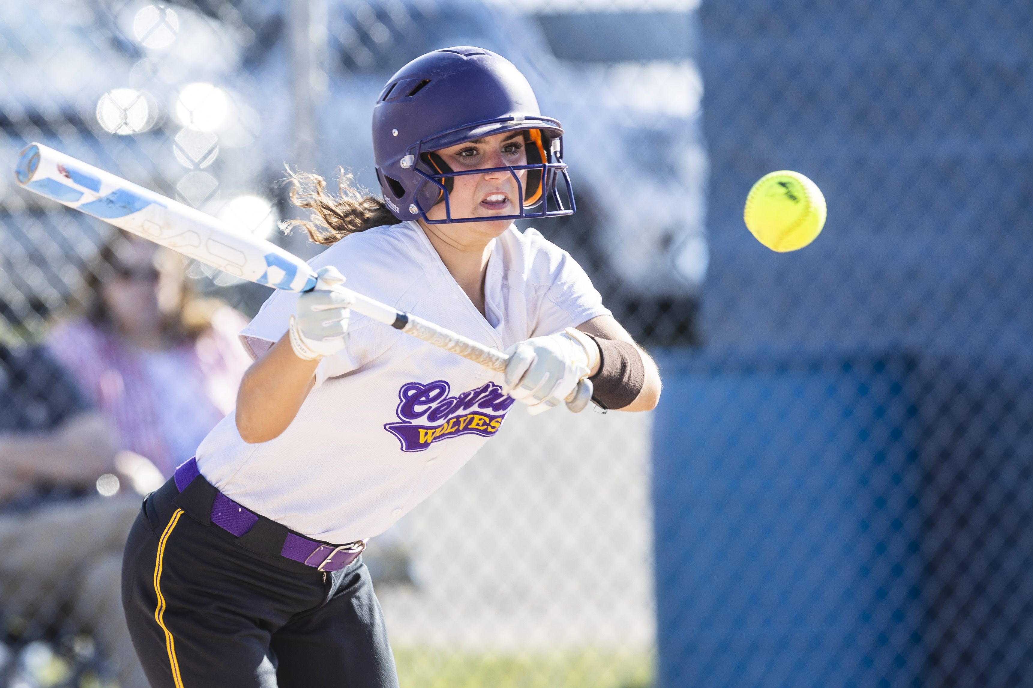 Garber faces Bay City Central in Bay County Softball Championship ...