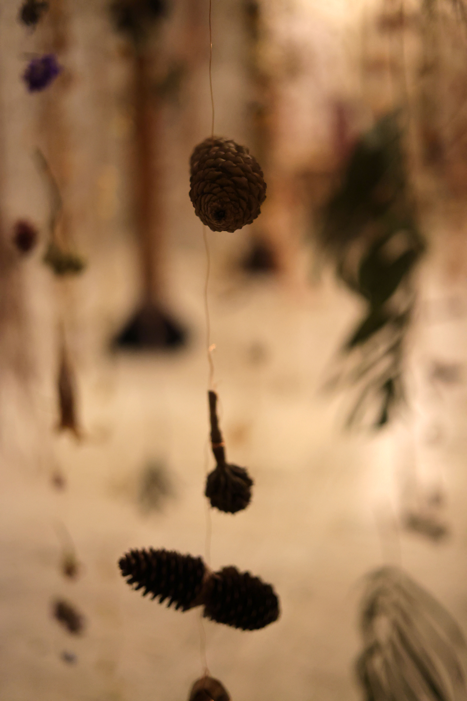 "The Archive" floral exhibit on display in Cleveland - cleveland.com